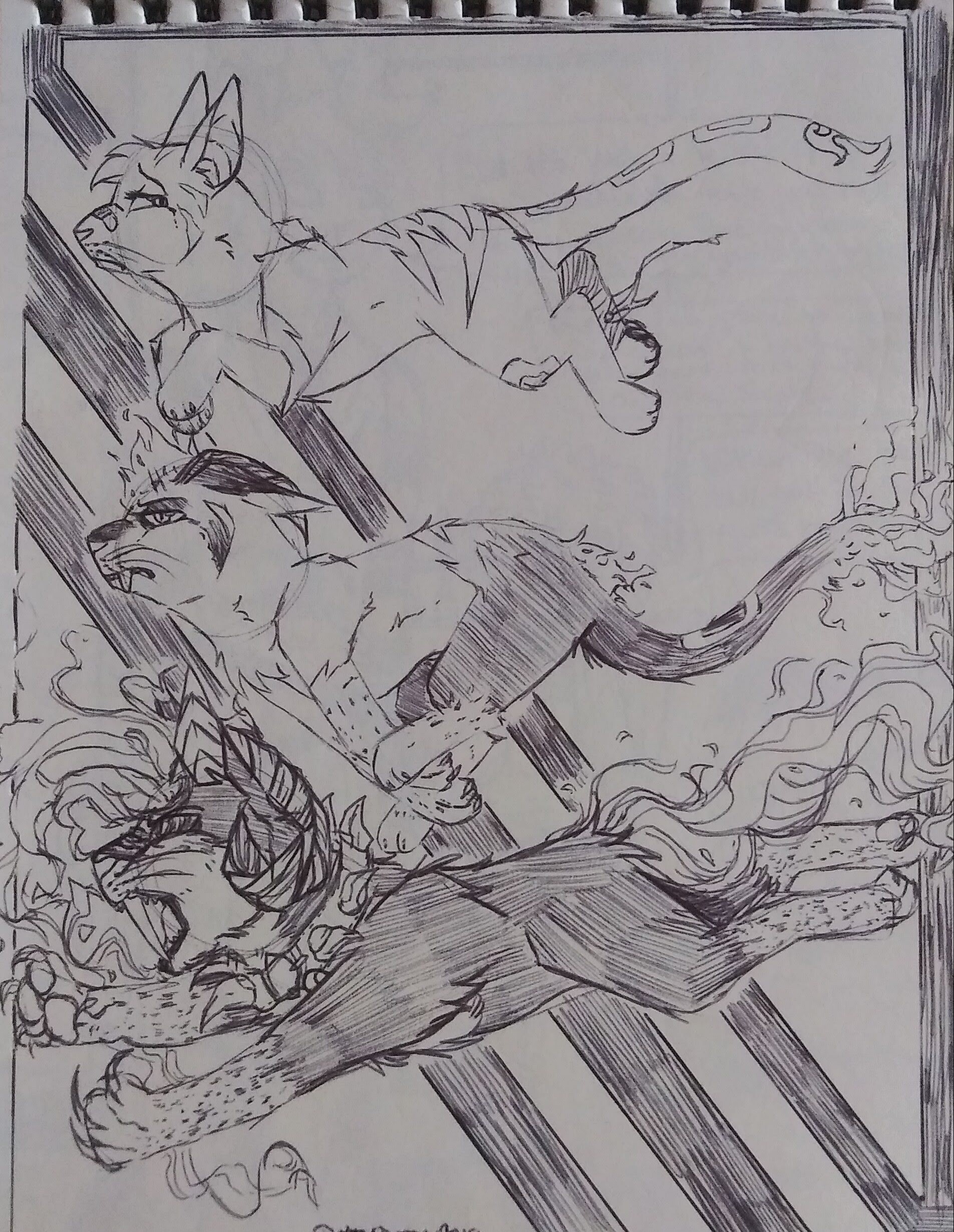 stop motion coloring pages