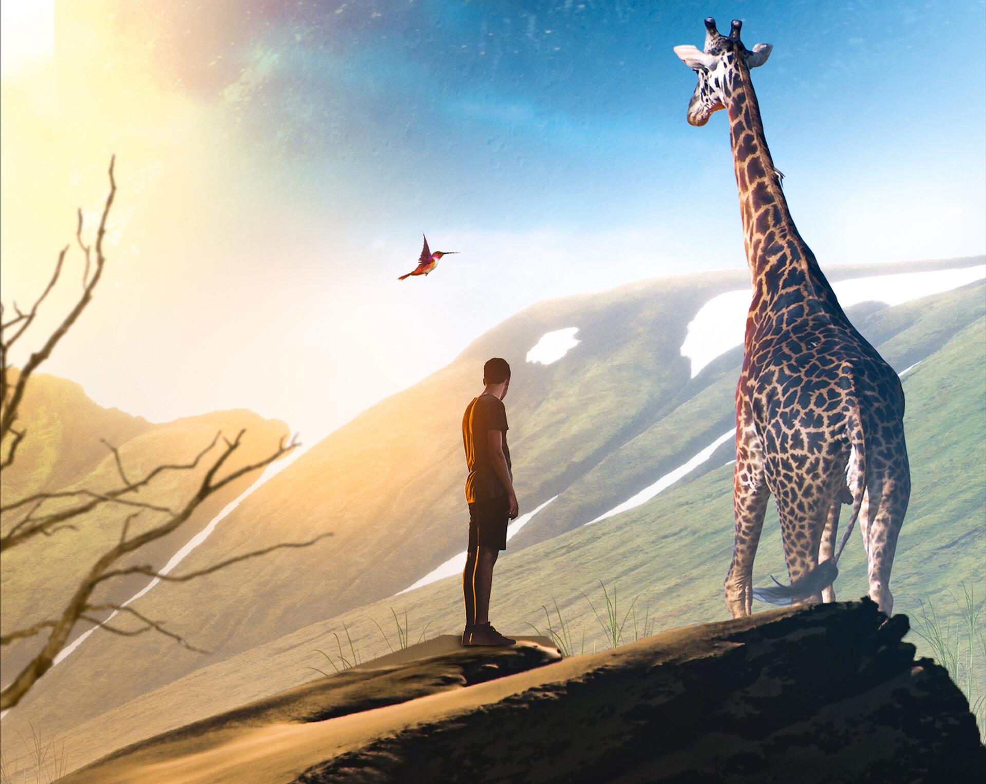 ArtStation - "The way of nature"