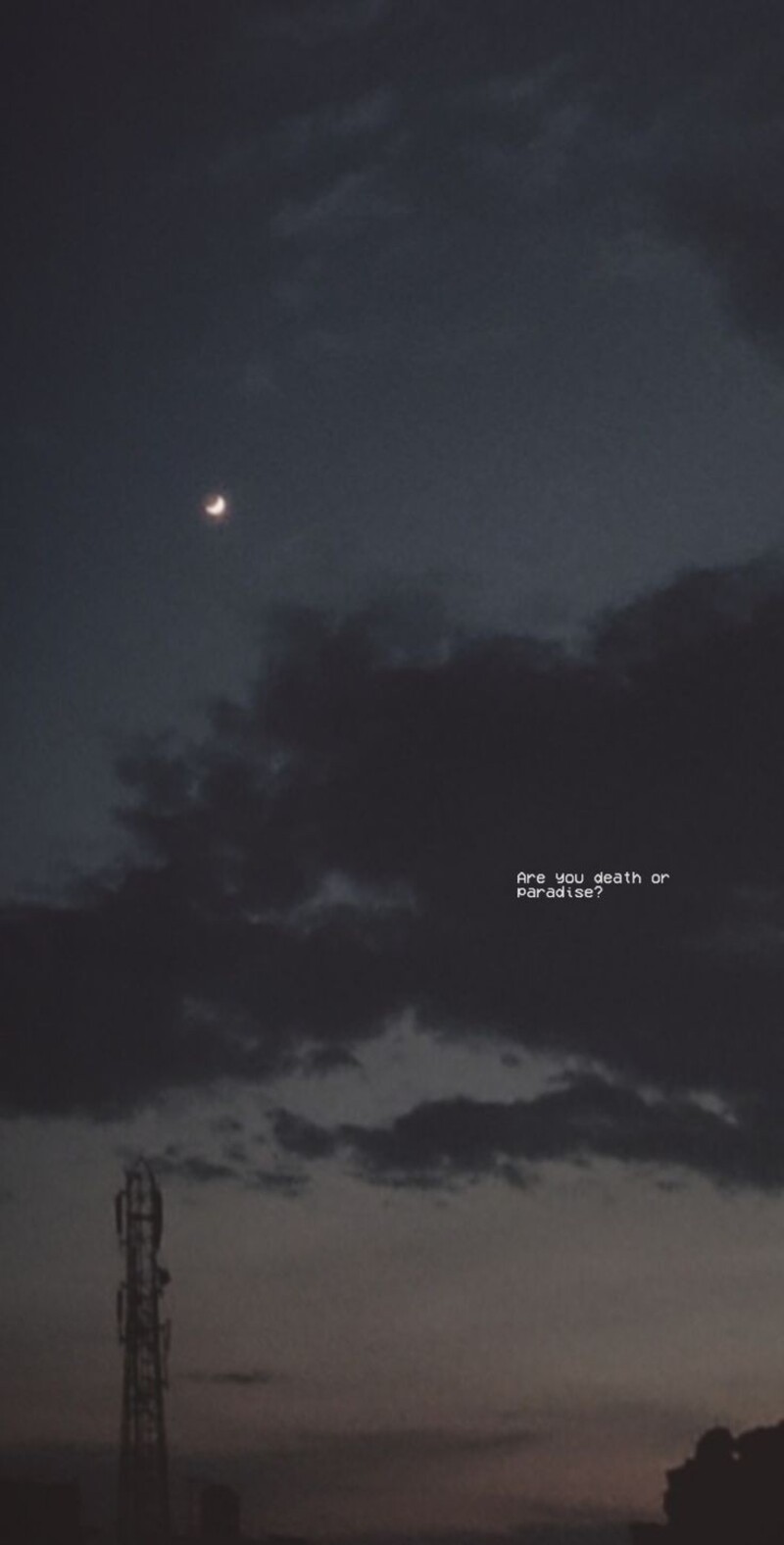 ArtStation - king fox