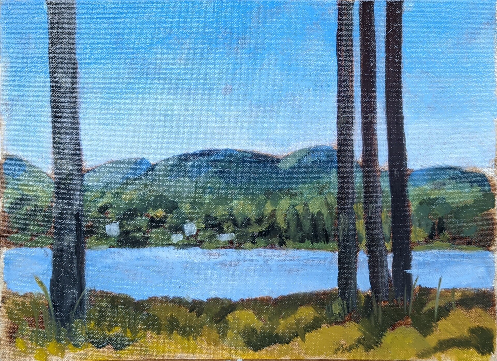 ArtStation - Acadia Landscape Oil Study