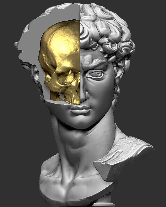 ArtStation - 3D practice - David with skull
