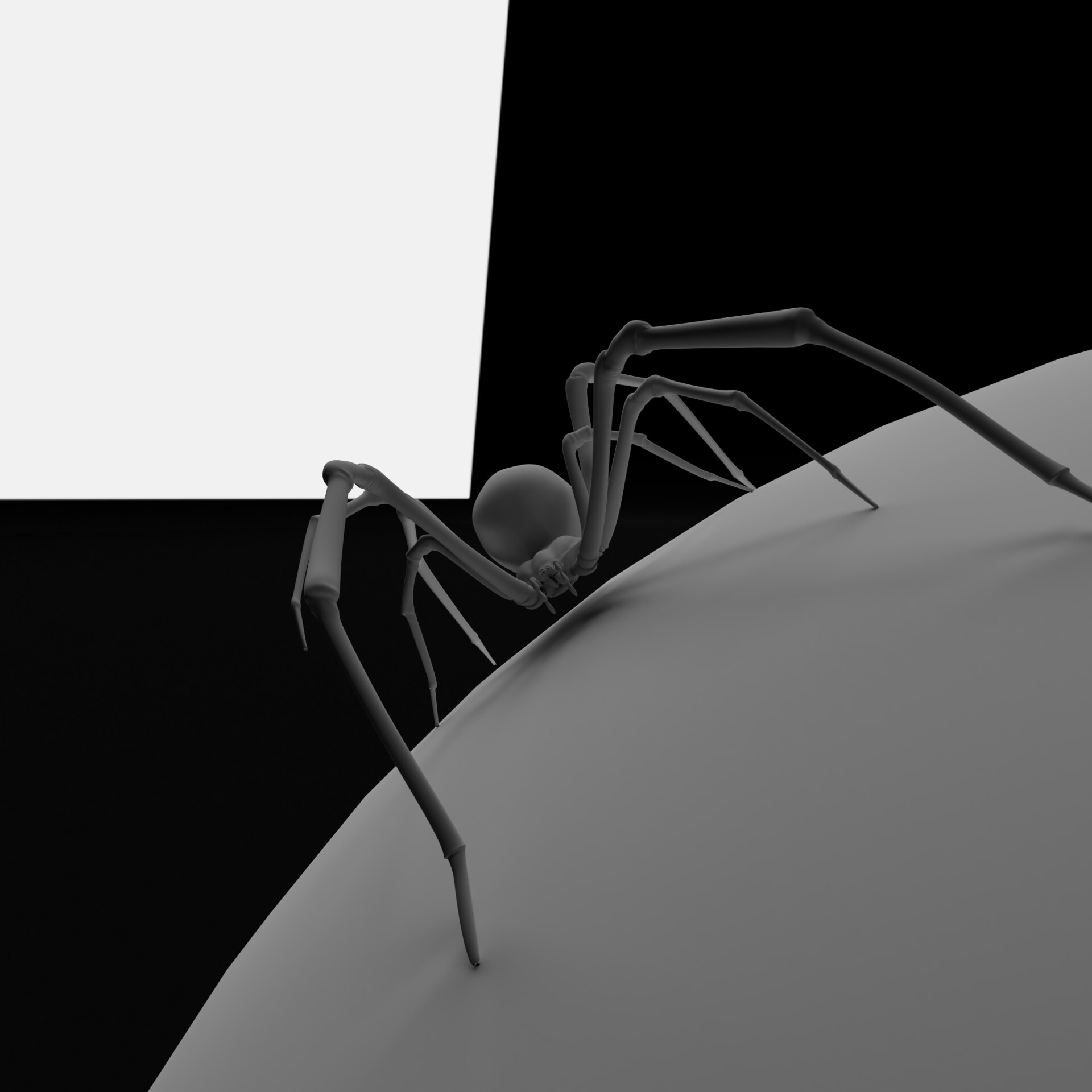 Alvar - Latrodectus mactans