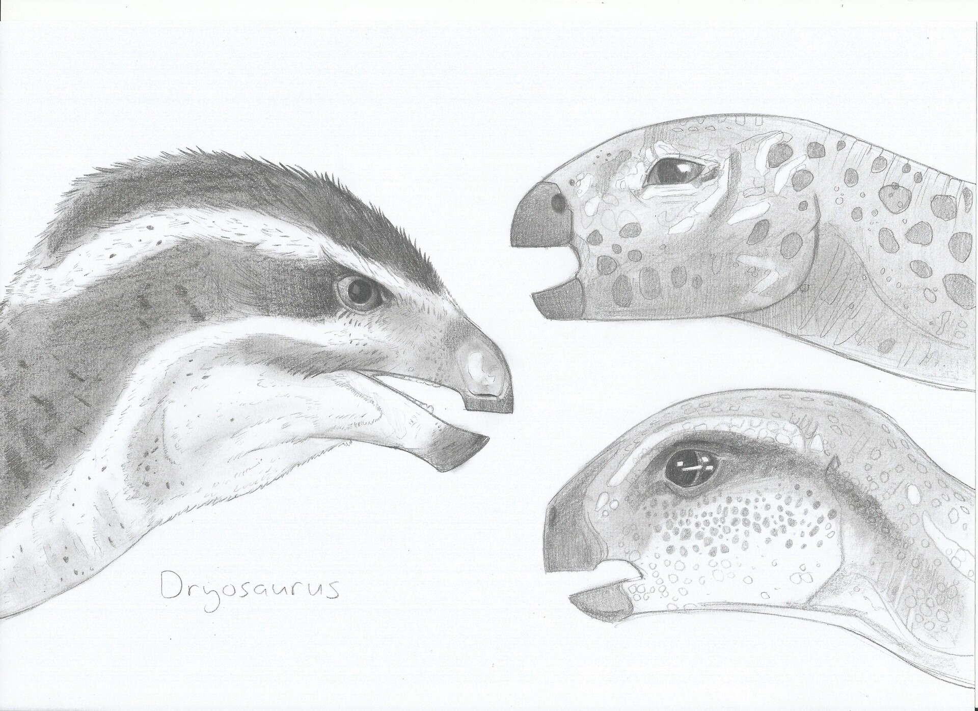 ArtStation - Dryosaurus compared to its Jurassic park/world counterparts