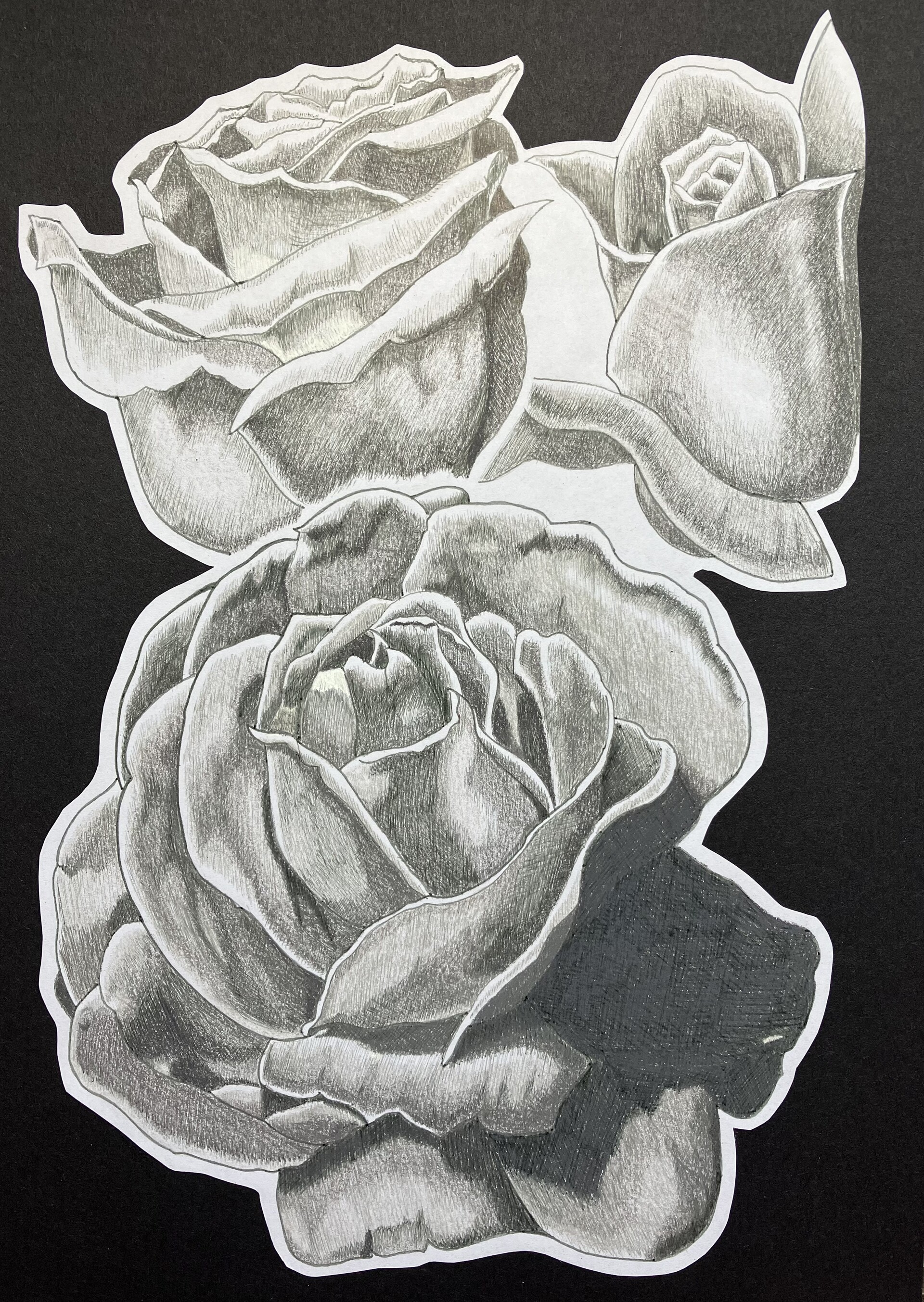 ArtStation - Black and Grey Roses