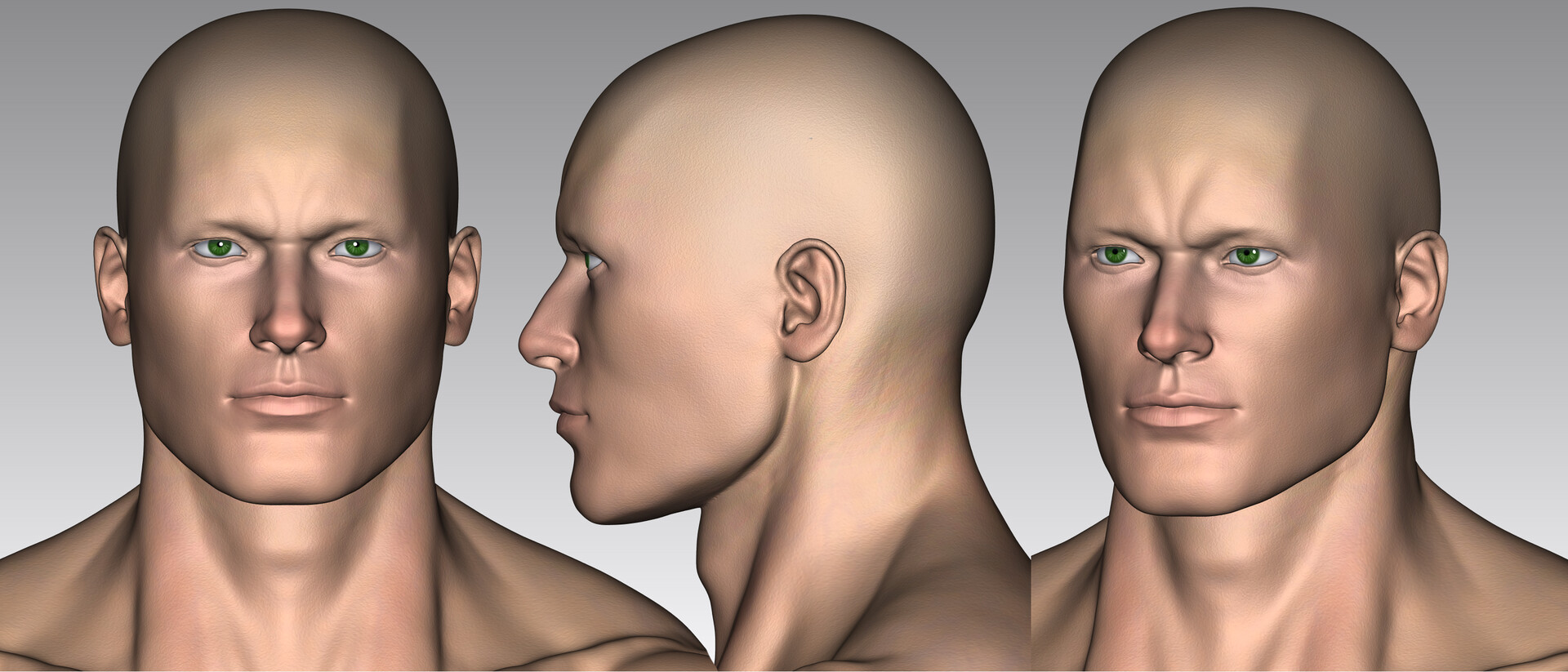 Nguyen Tri - Male Anatomy Study
