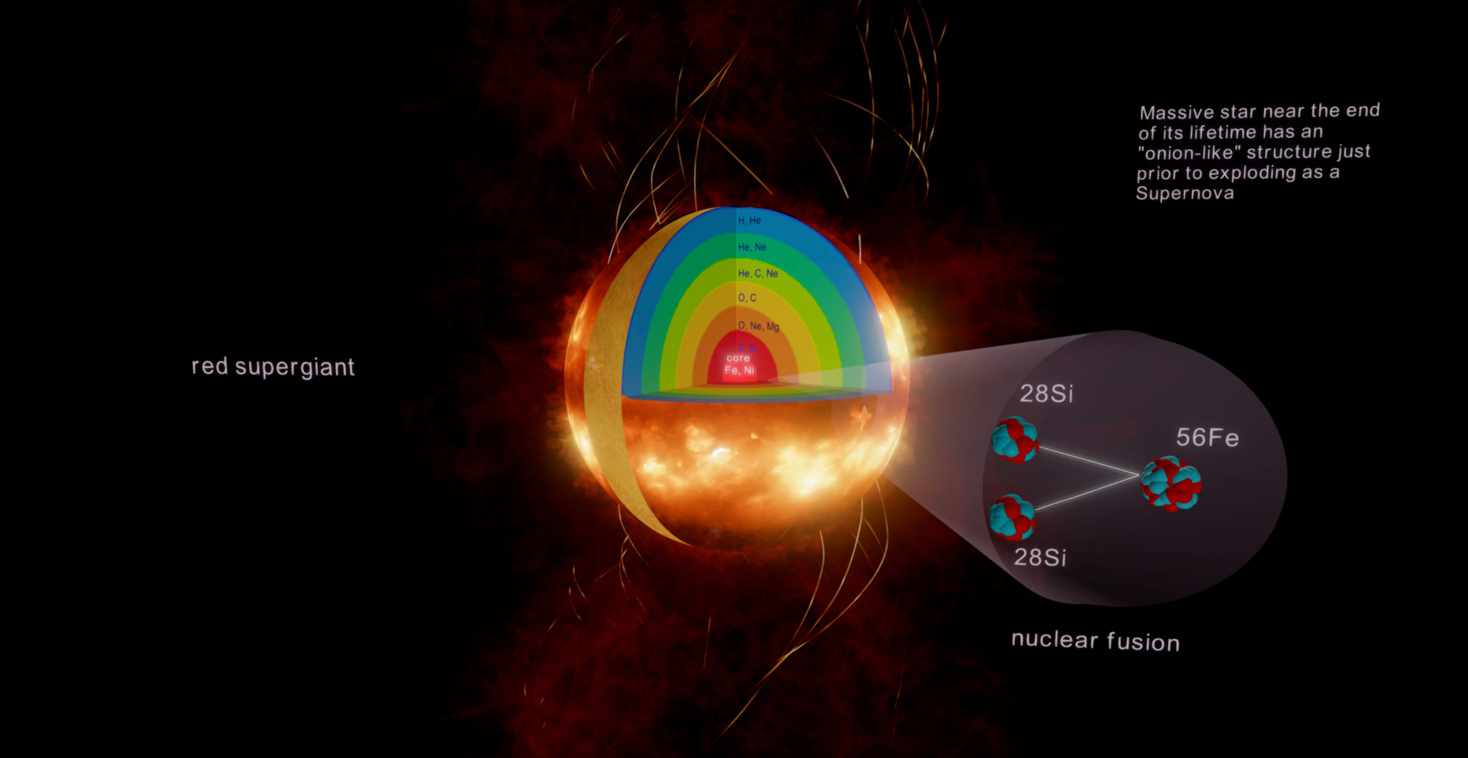Salvatore Orlando - Structure of a red supergiant star