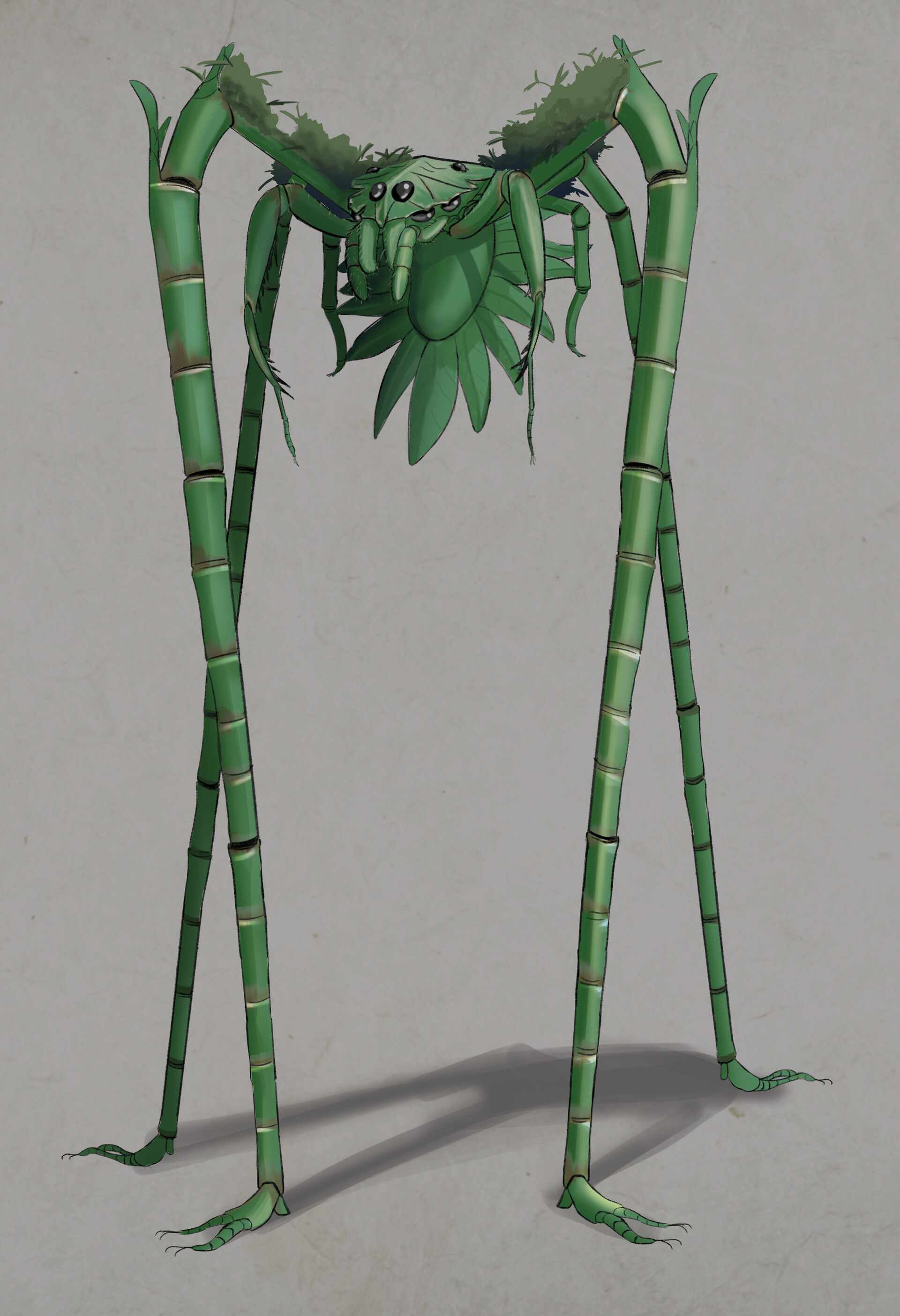 ArtStation - Bamboo Spider