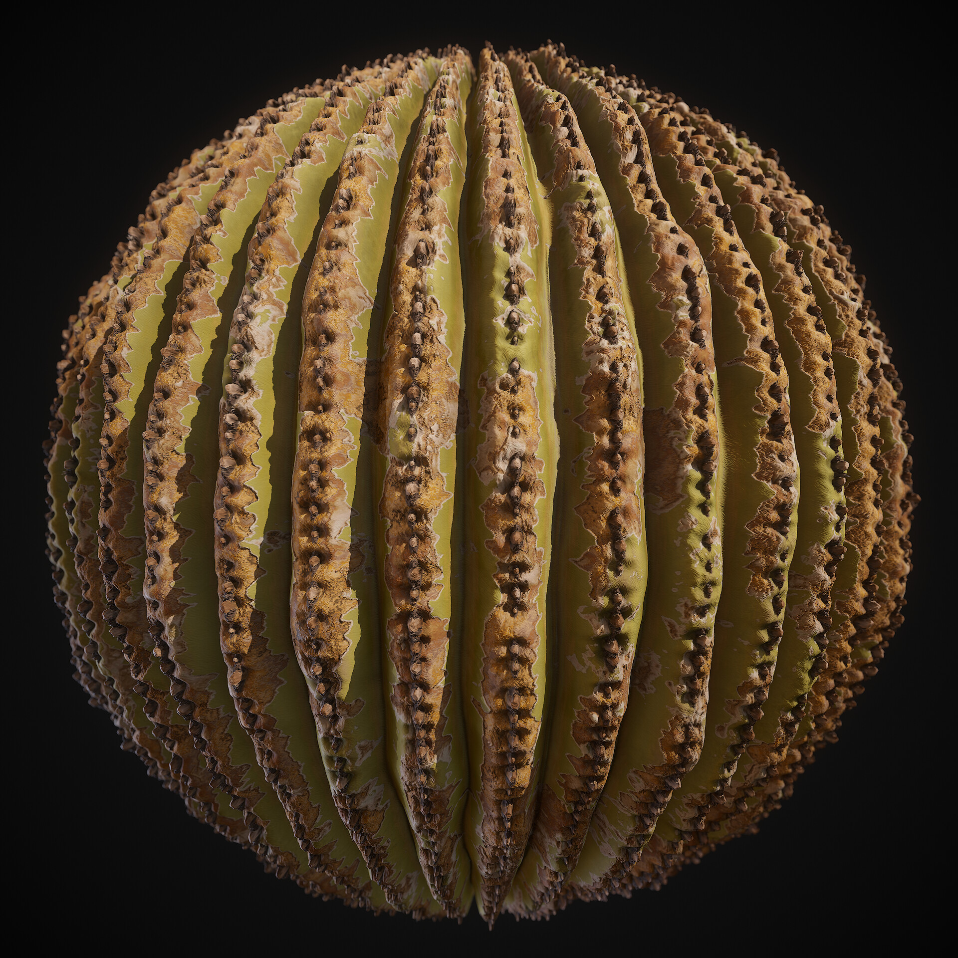 Yihan Shu - Substance Designer Material Cactus