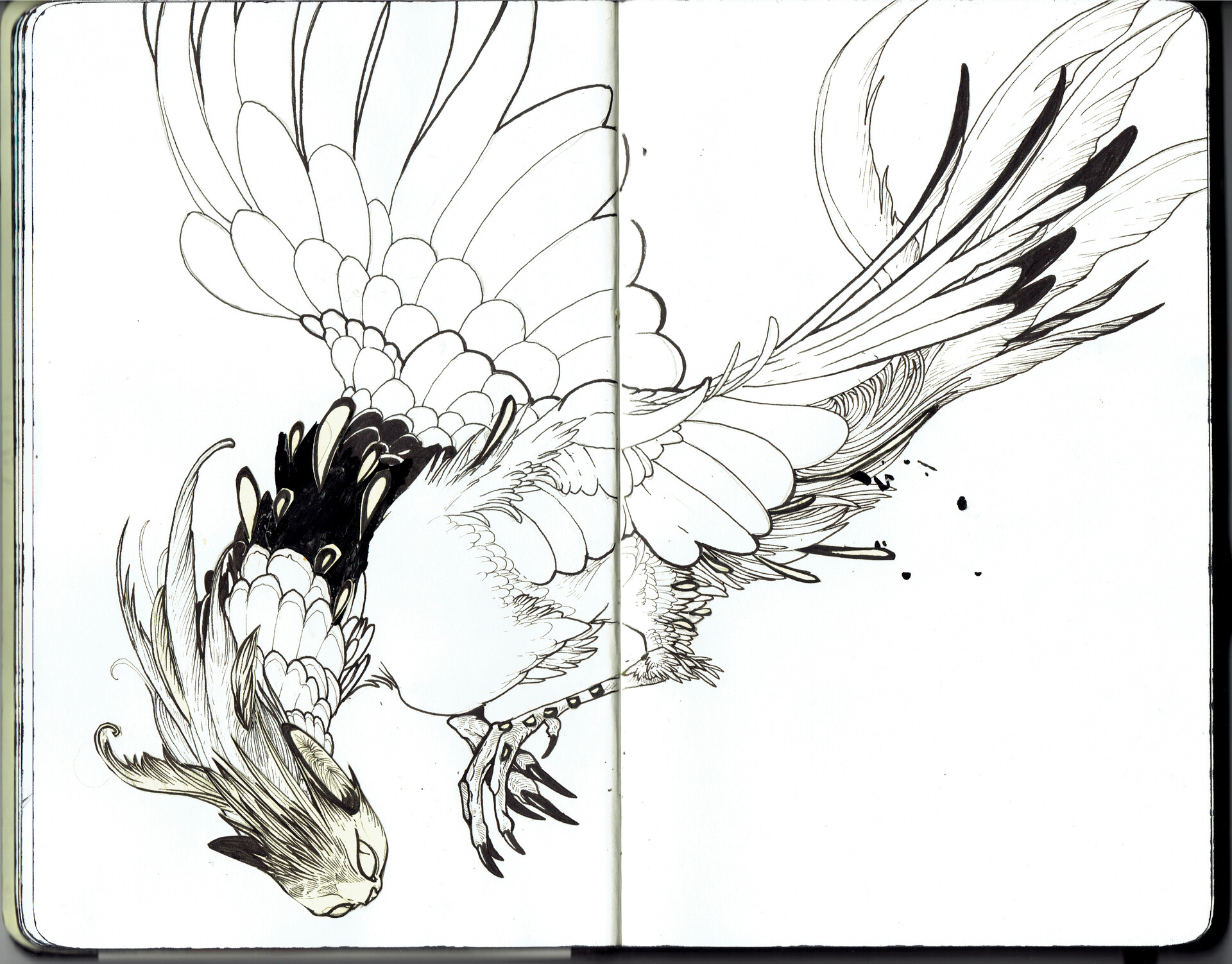 ArtStation - phoenix cat