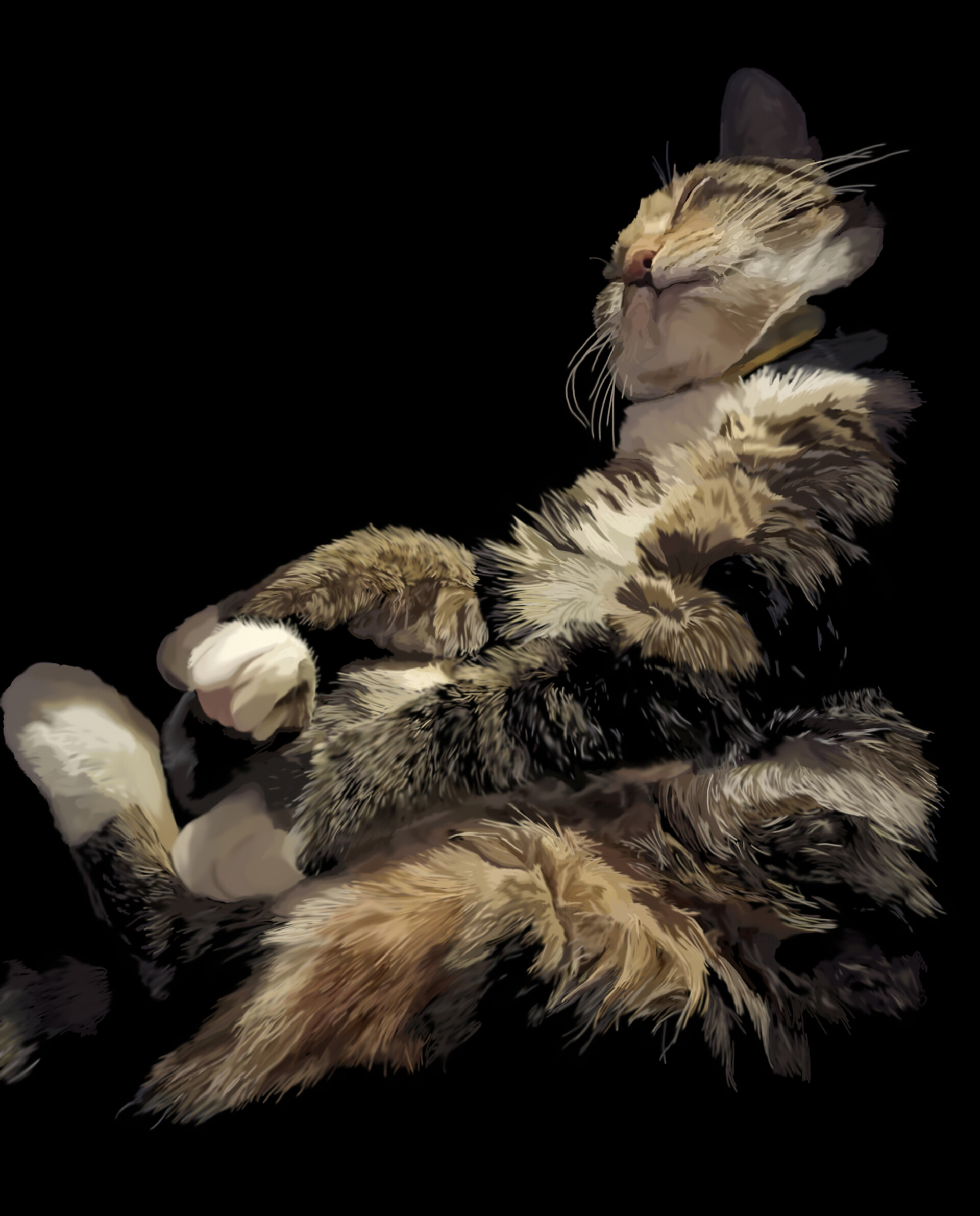 ArtStation - Sleeping cat (digital painting)