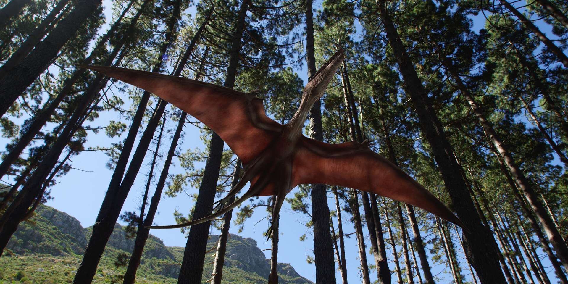 ArtStation - Darwinopterus