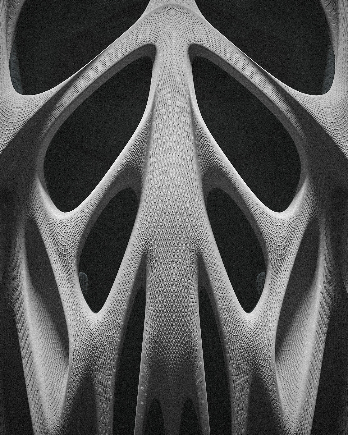 Ayoub Ahmad - Meta Boat