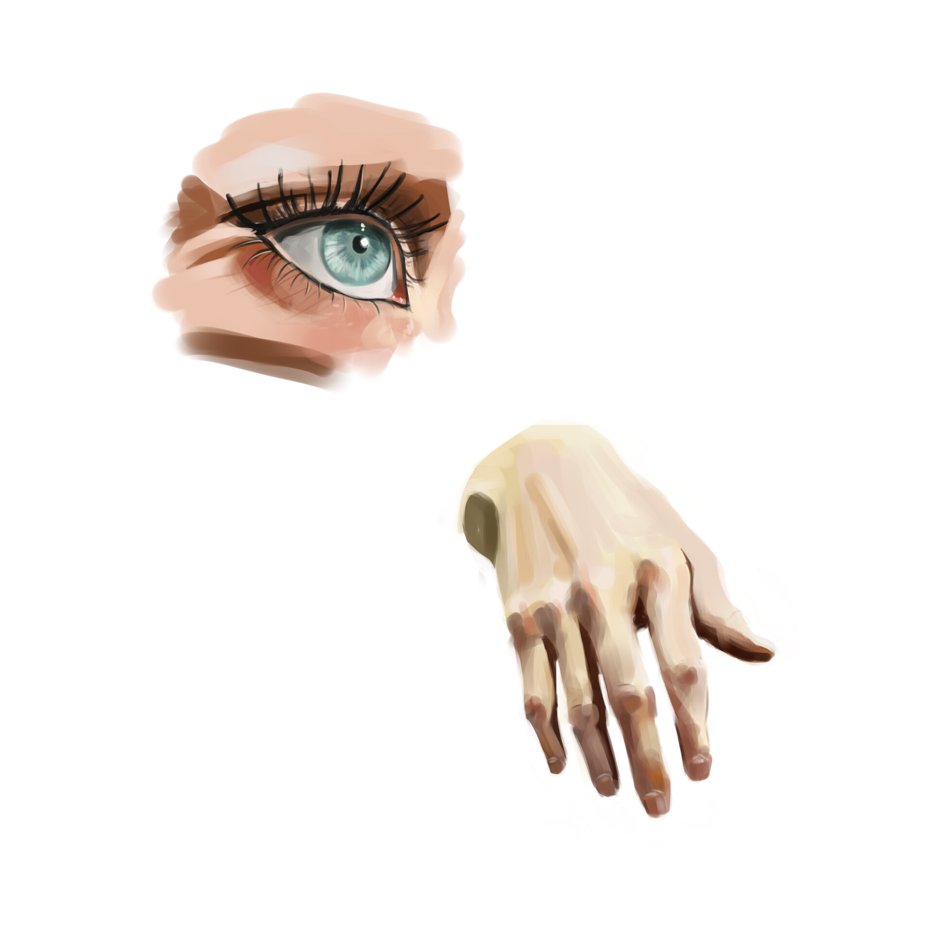 ArtStation - eye and hand study