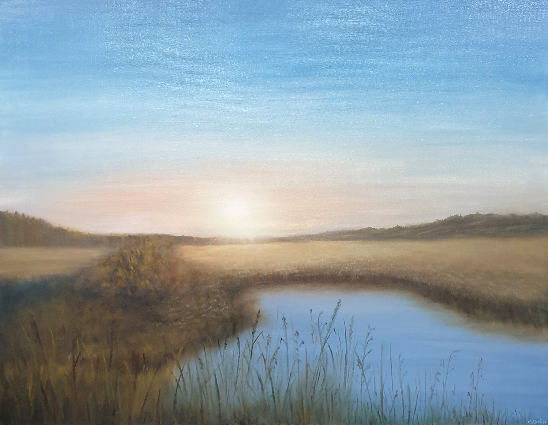 ArtStation - Reed backwater