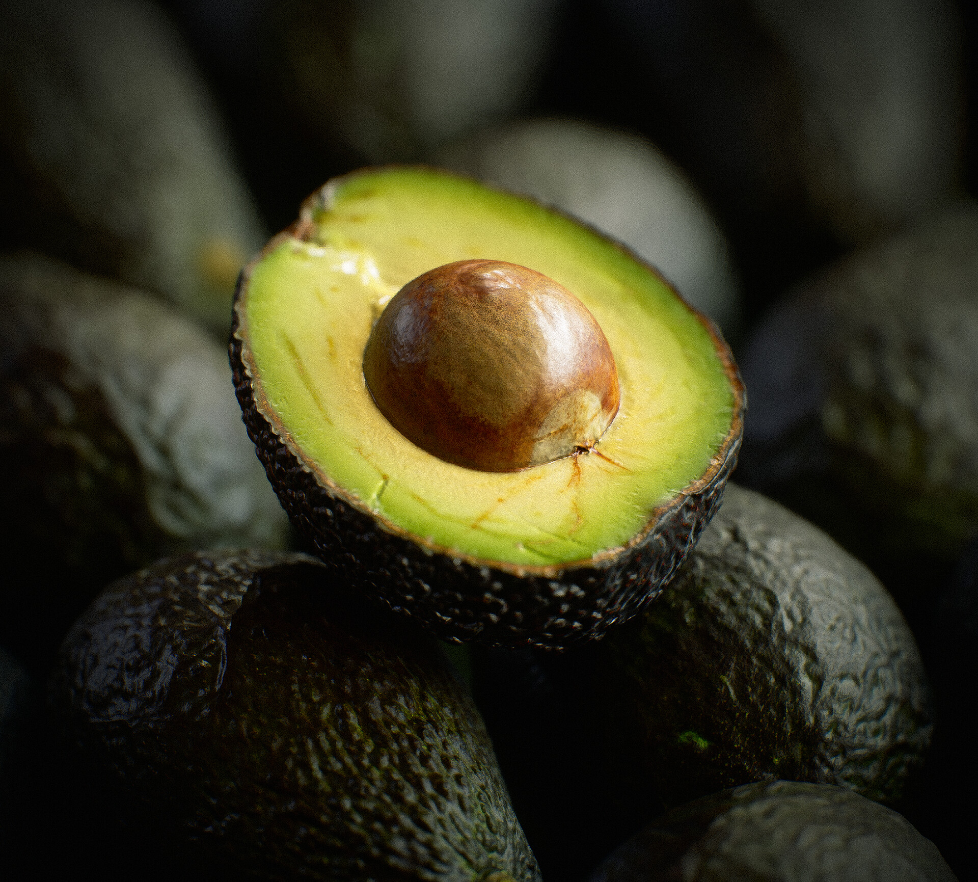 ArtStation - Avocado (Megascans)