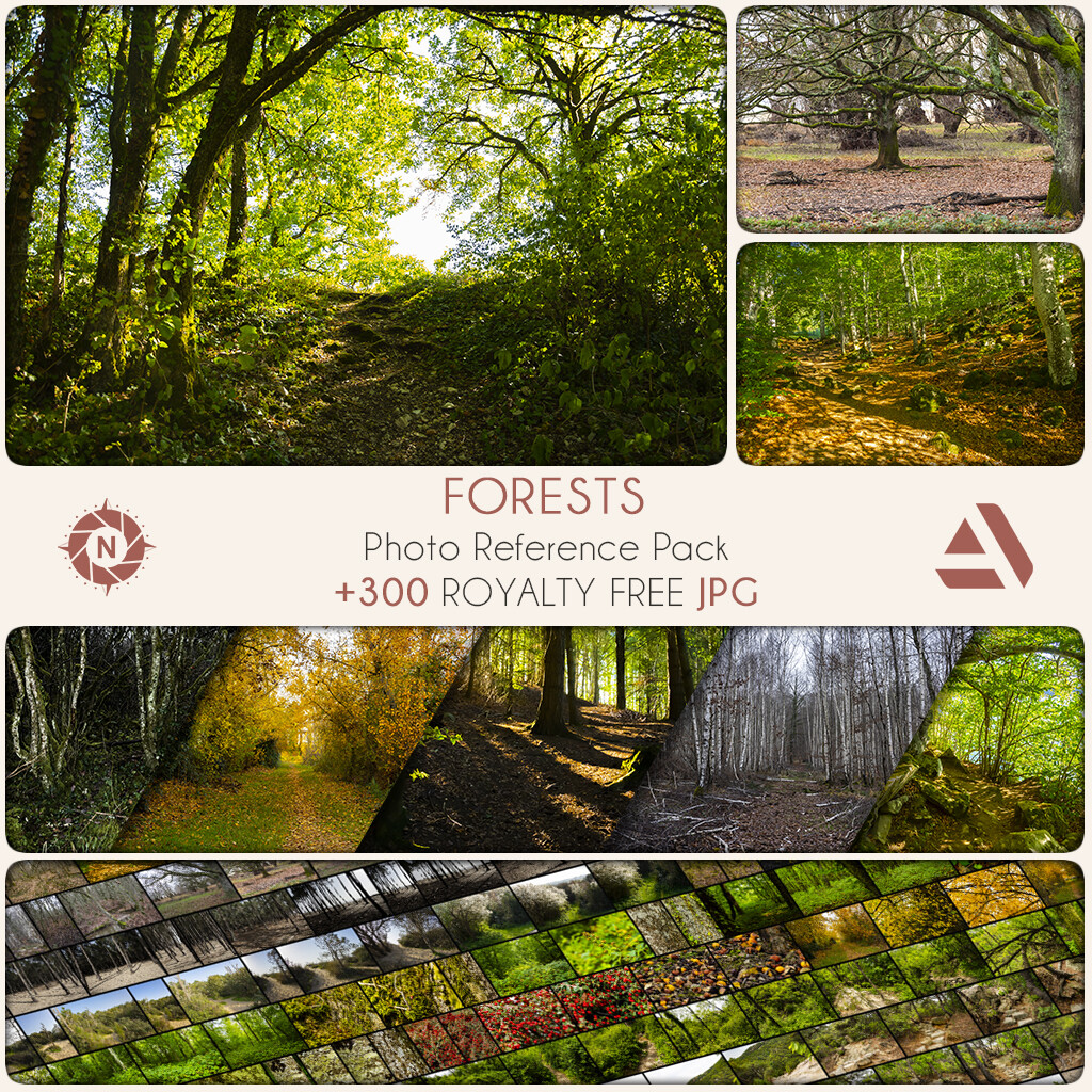 Nomad Photo Reference - Freelance Bundle: +16 000 reference photos ...