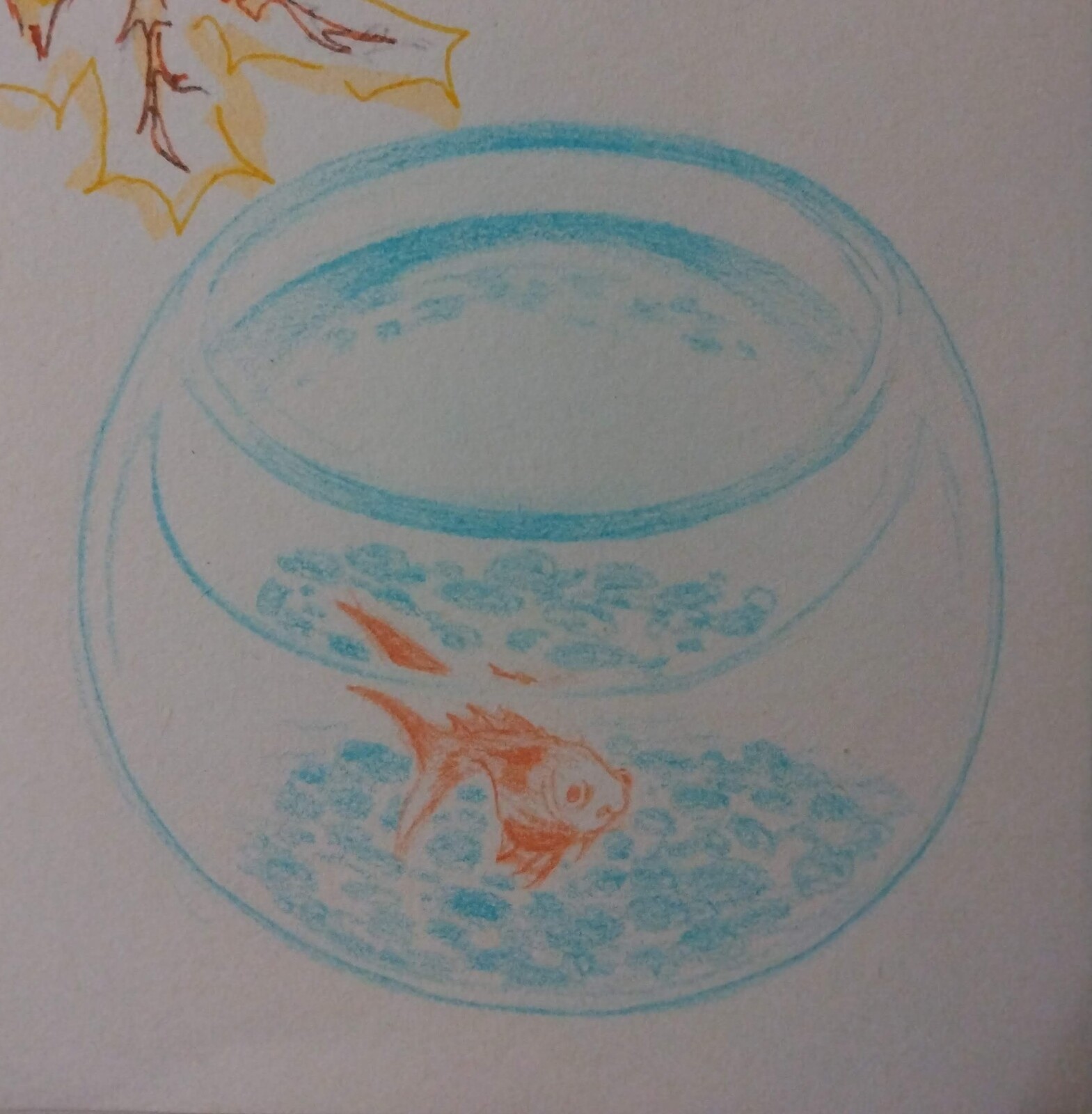 Emma Smith - Goldfish bowl