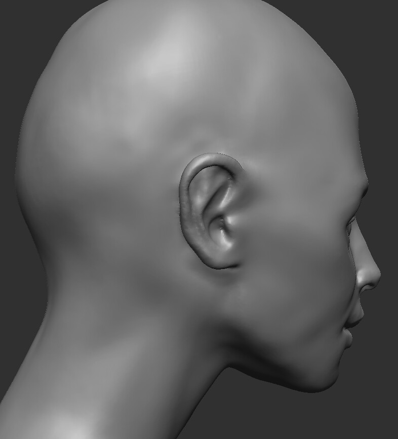 Claire Neilson - 3D Modeled Head