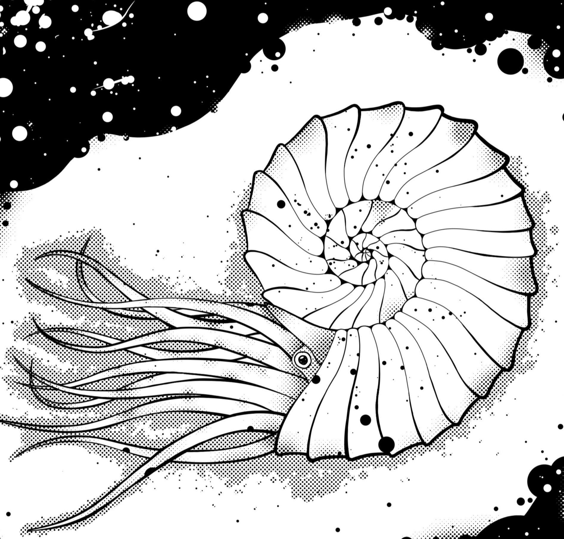 ArtStation - Ammonite