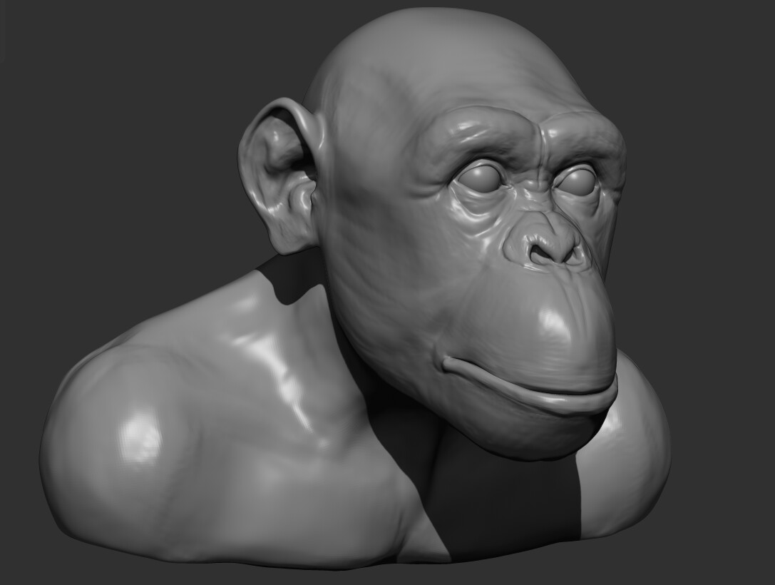 ArtStation - Chimps head (3Dcember challenge) Speedsculpt