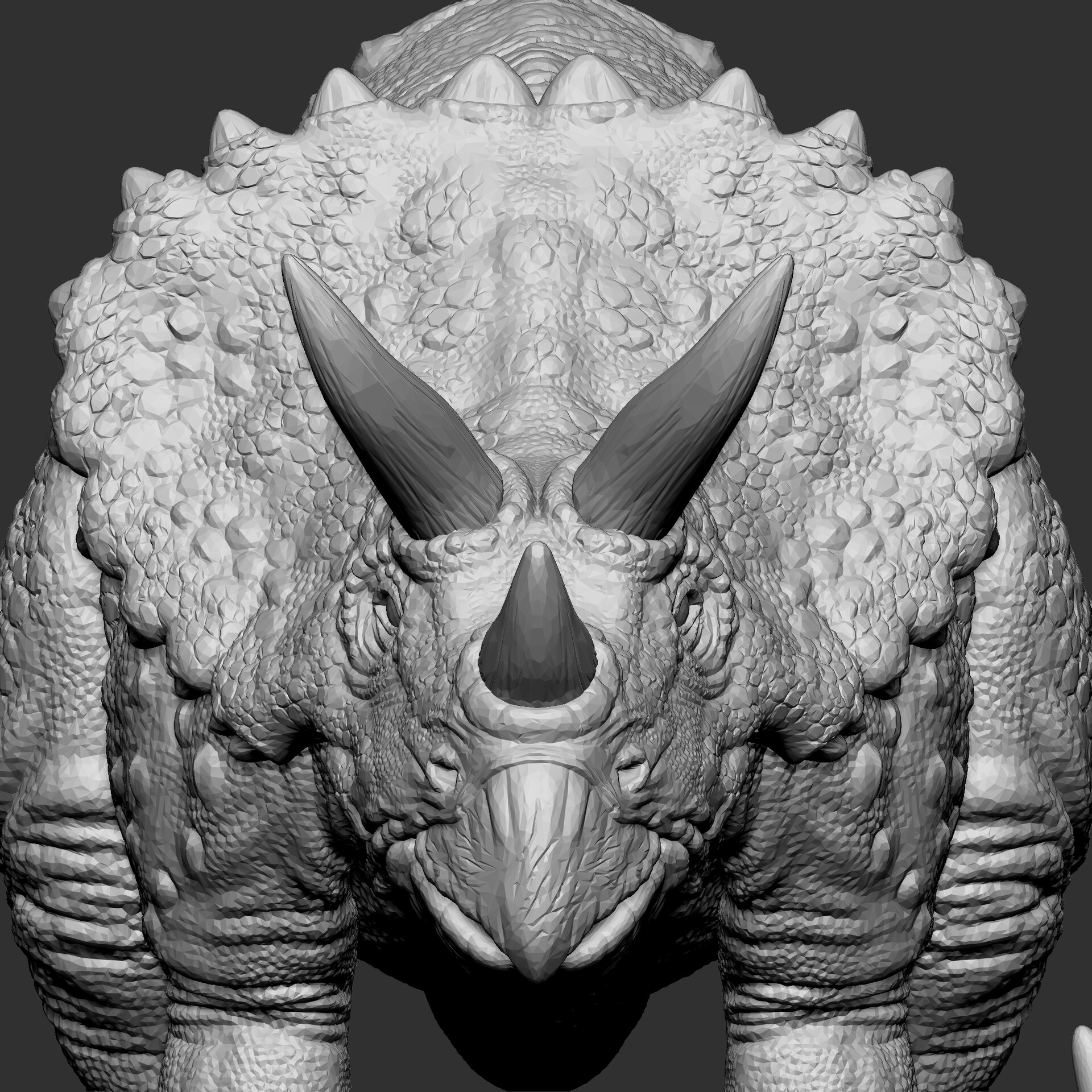 YD STUDIO - TRICERATOPS