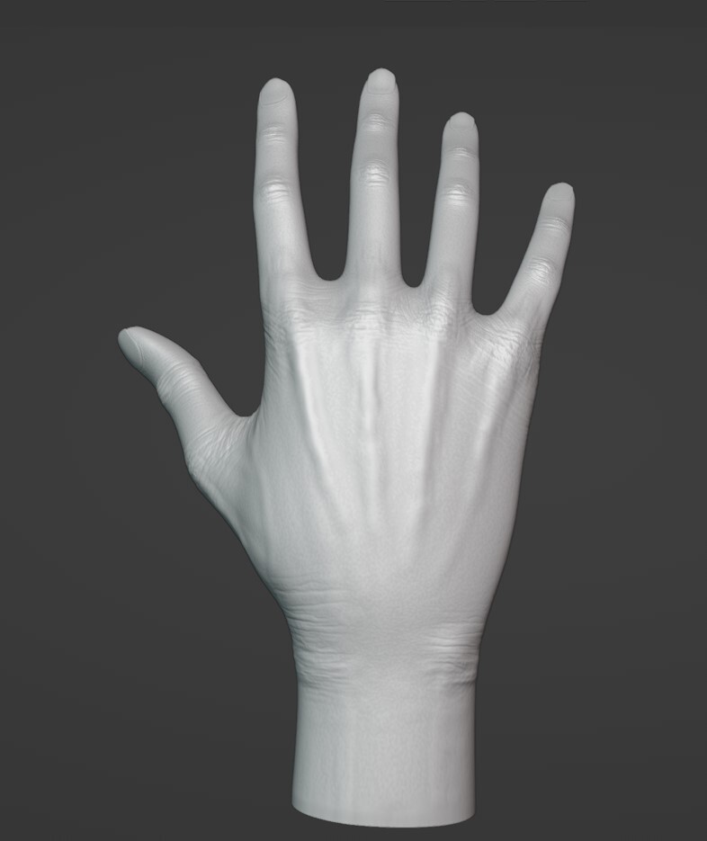 ArtStation - Hand_Model