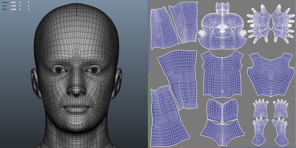 AlessandroChizzolini - Maya_Human Character Creator Project