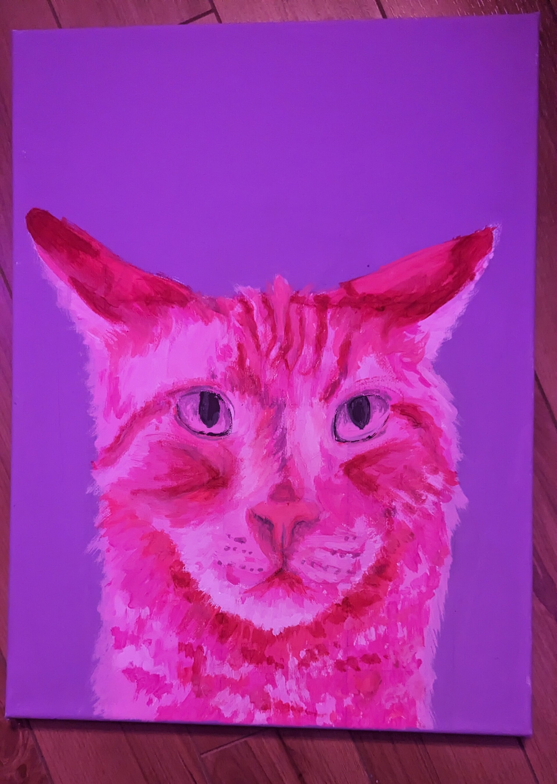 ArtStation - Pink Bruce, The cat