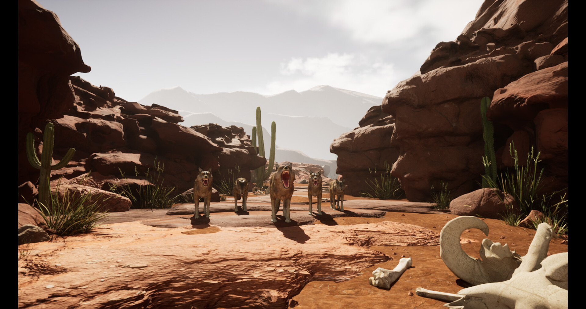 ArtStation - ARIZONA LIFE