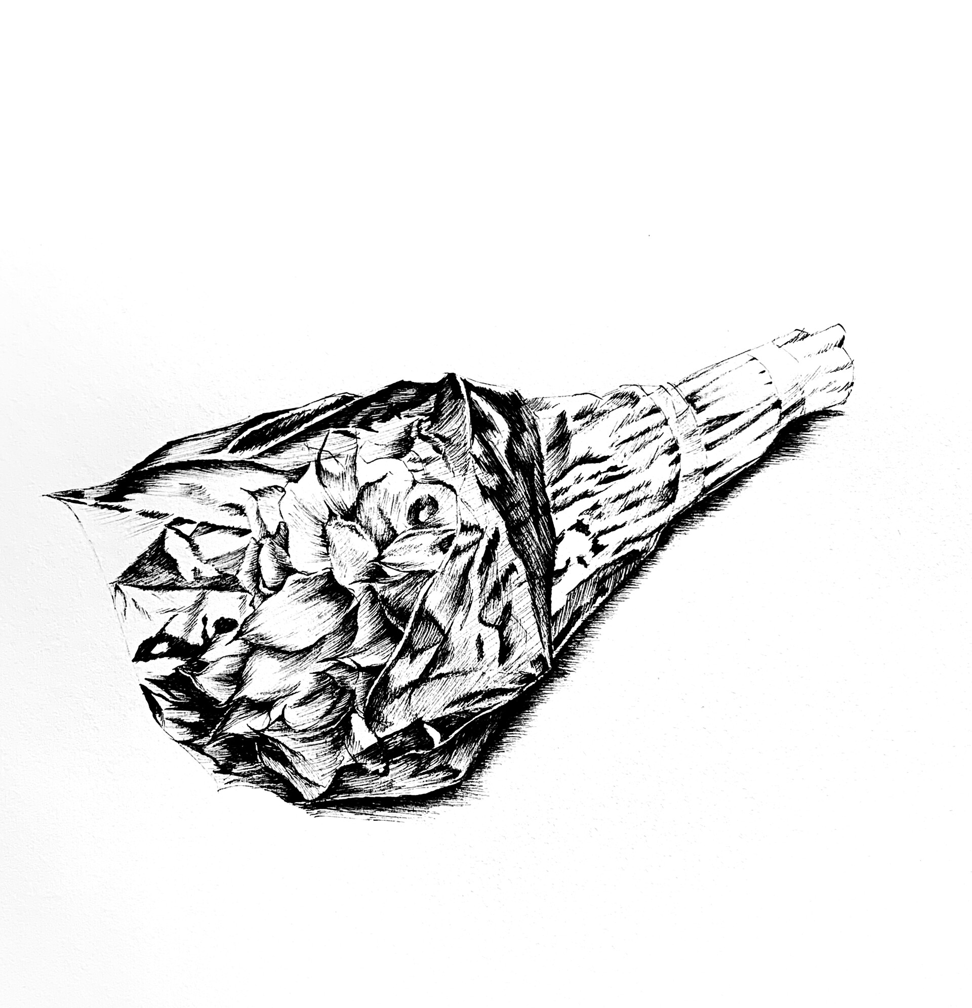ArtStation - Pen rose drawing sketch
