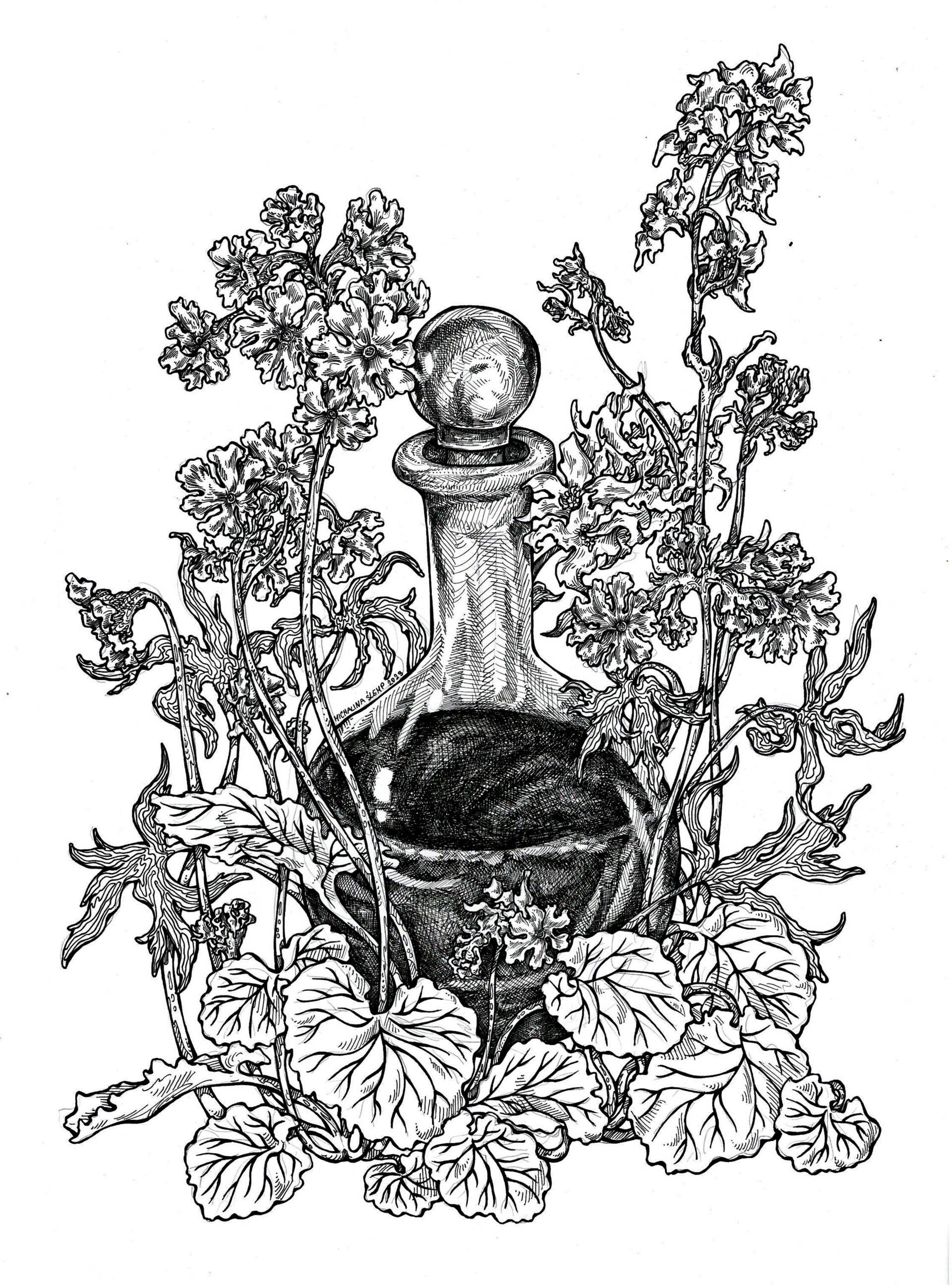 ArtStation - The Carafe