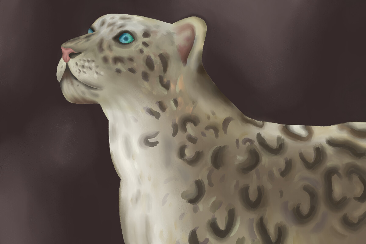 ArtStation - Snow Leopard