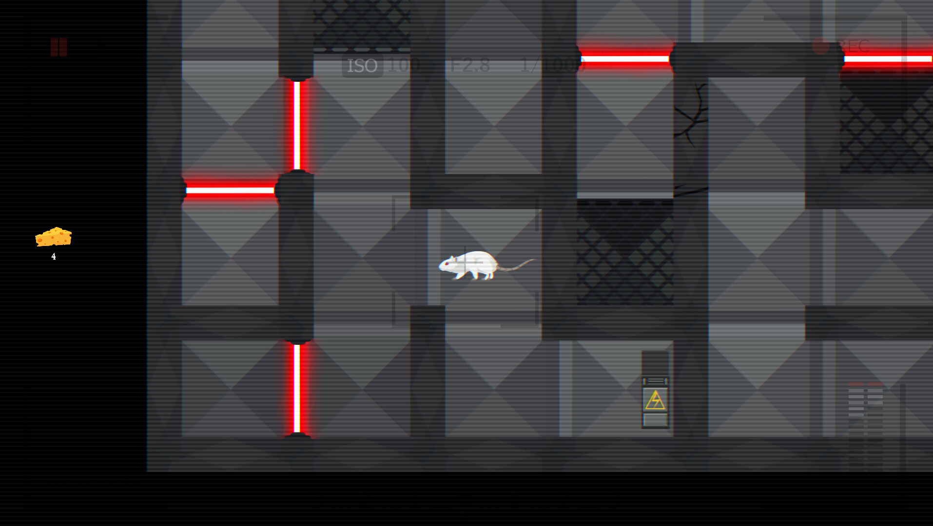 Chani Mores - All Rat Remains - McGame Jam 2023