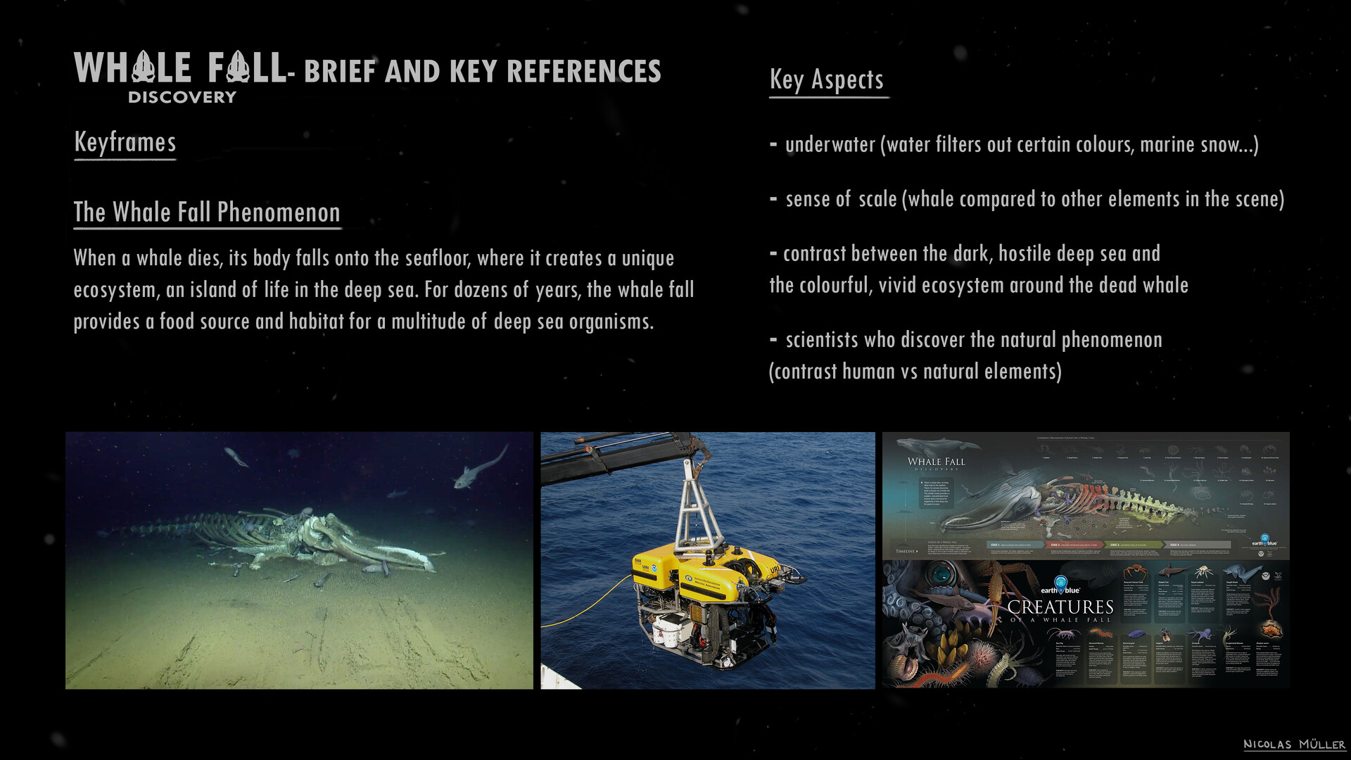 Nicolas Müller - Keyframes - Whale Fall Discovery