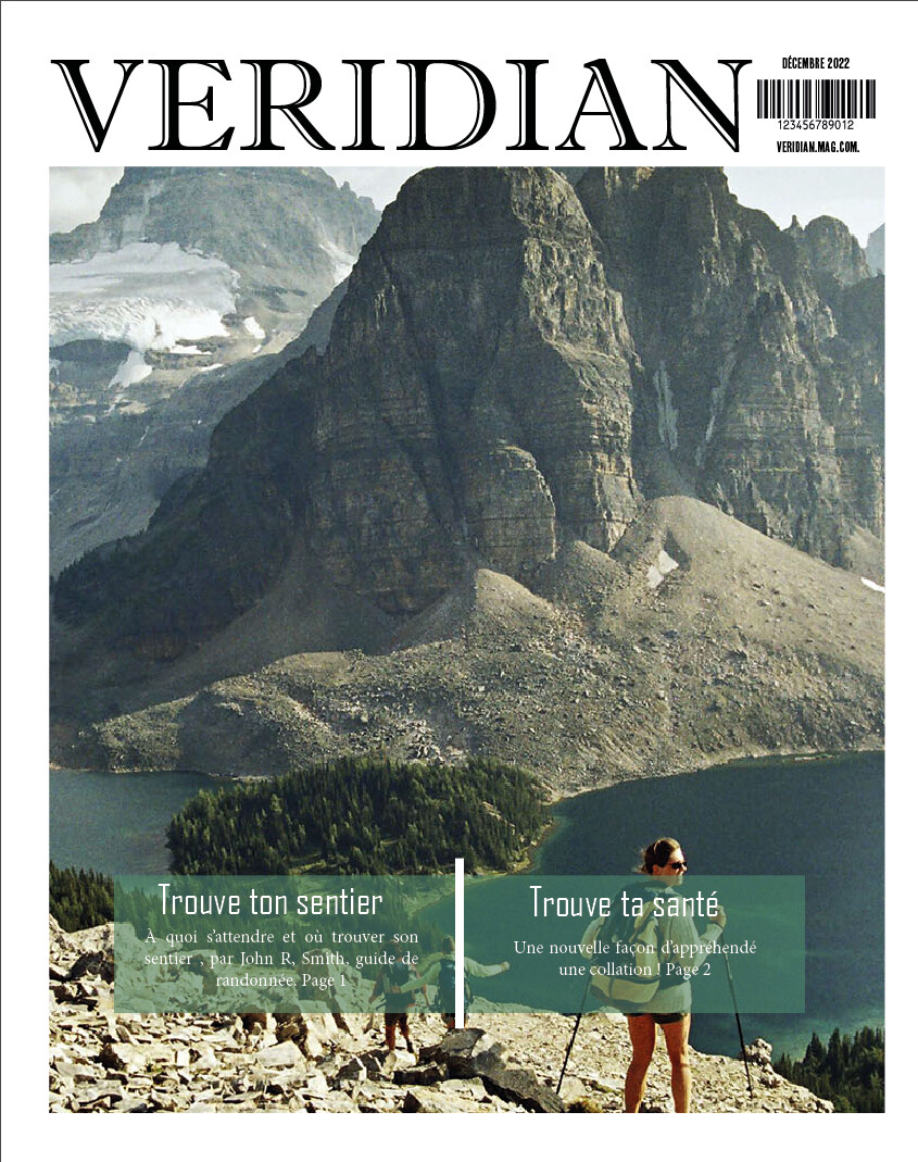 ArtStation - Travail Final - Étude Élaboration de Mise en Page