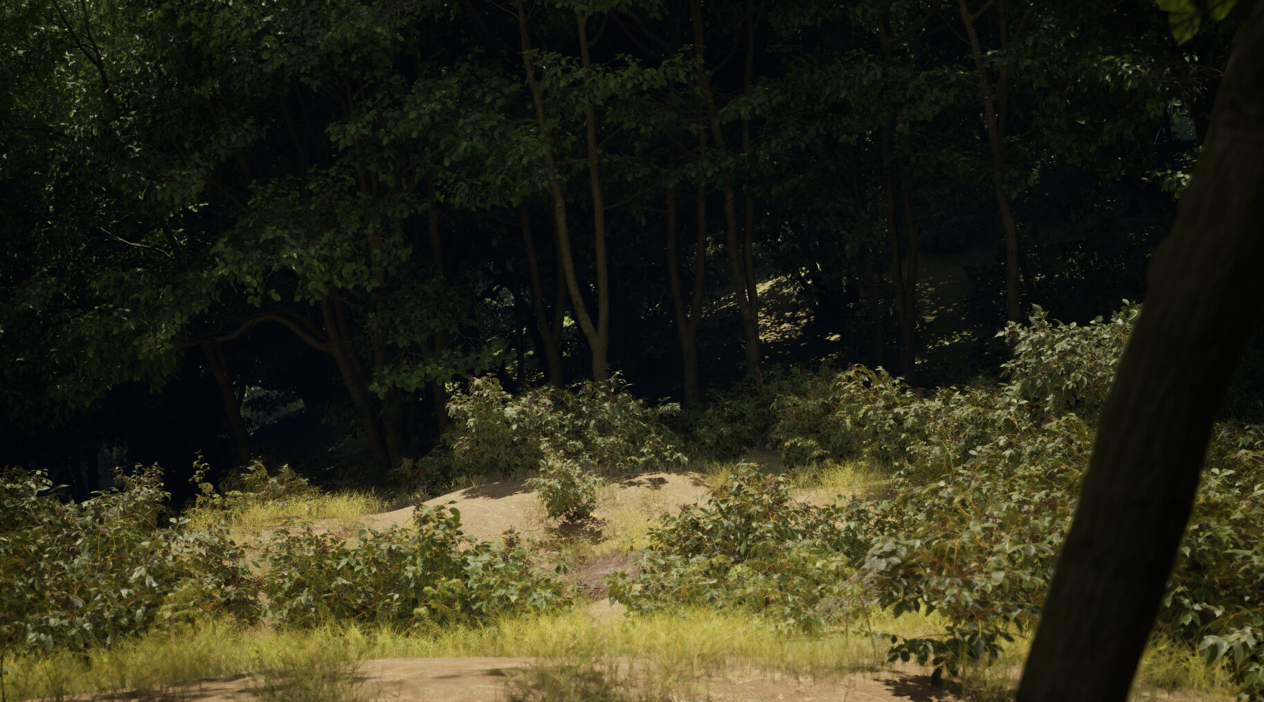 ArtStation - Forest Environment in Unreal Engine 5