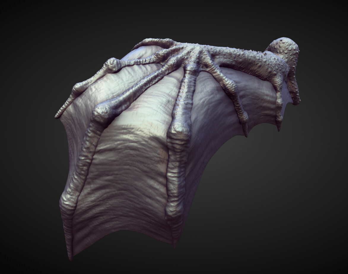 ArtStation - Wing2