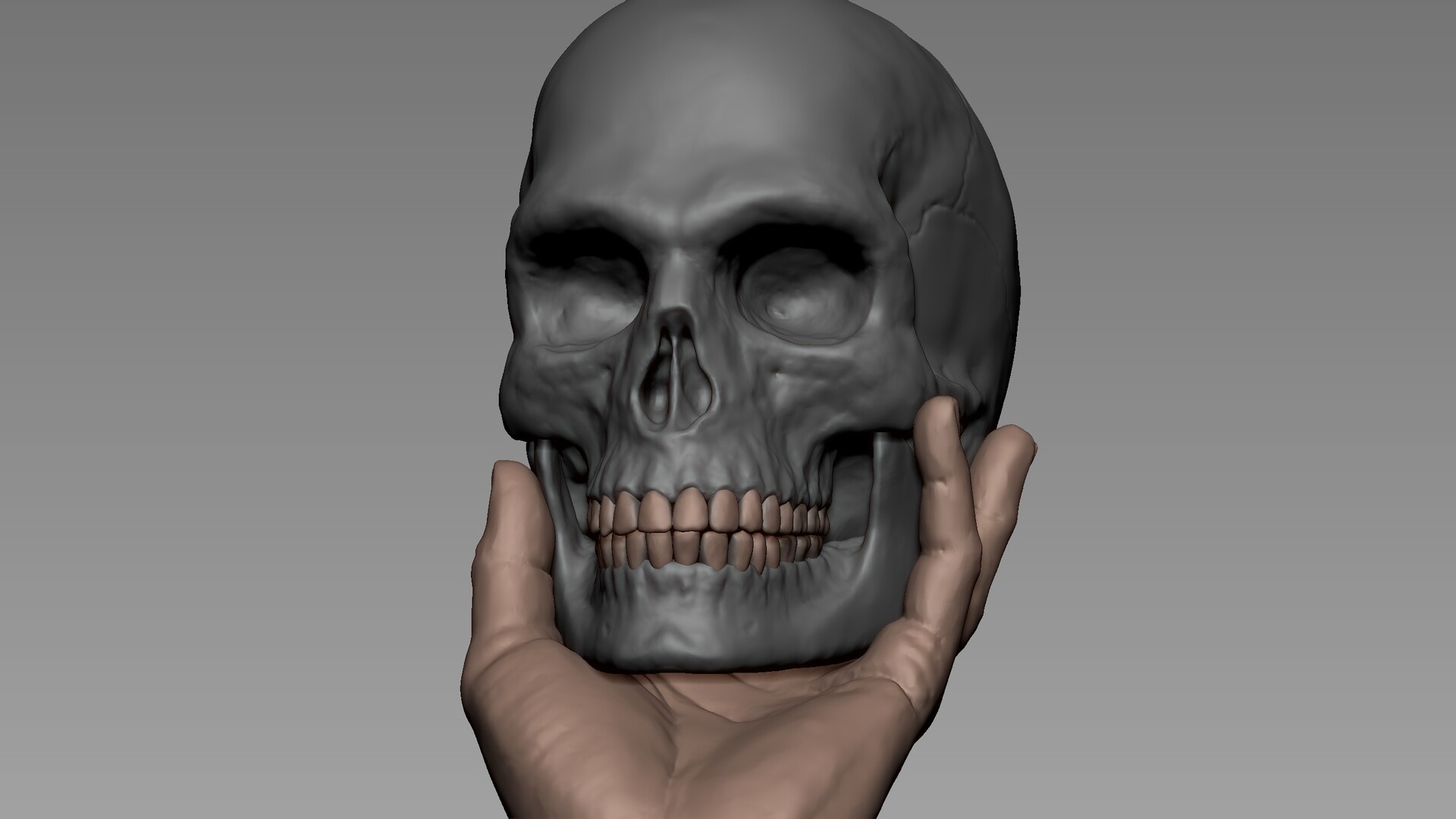 ArtStation - Hand & skull practice