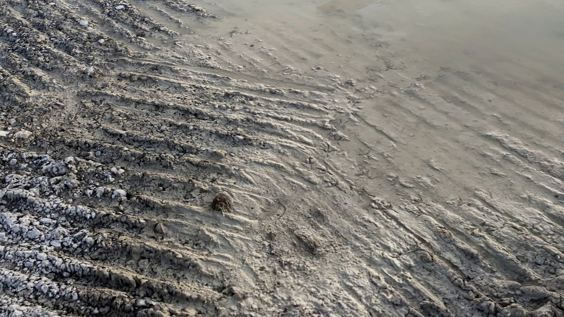 revolt3d - Gravel Ground Water 02