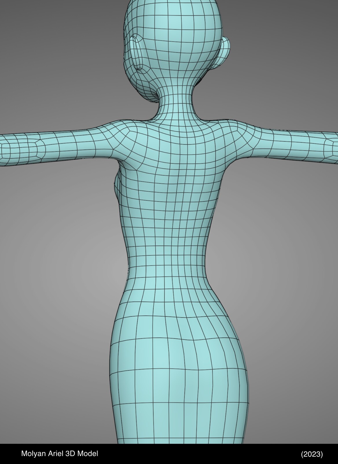 Molyan - Live Action Ariel 3D model (2023)