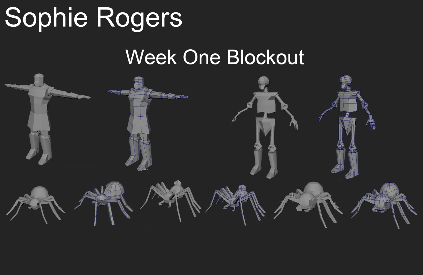 Sophie Rogers - Knight Hunt: The Tale of the Tainted Fairy