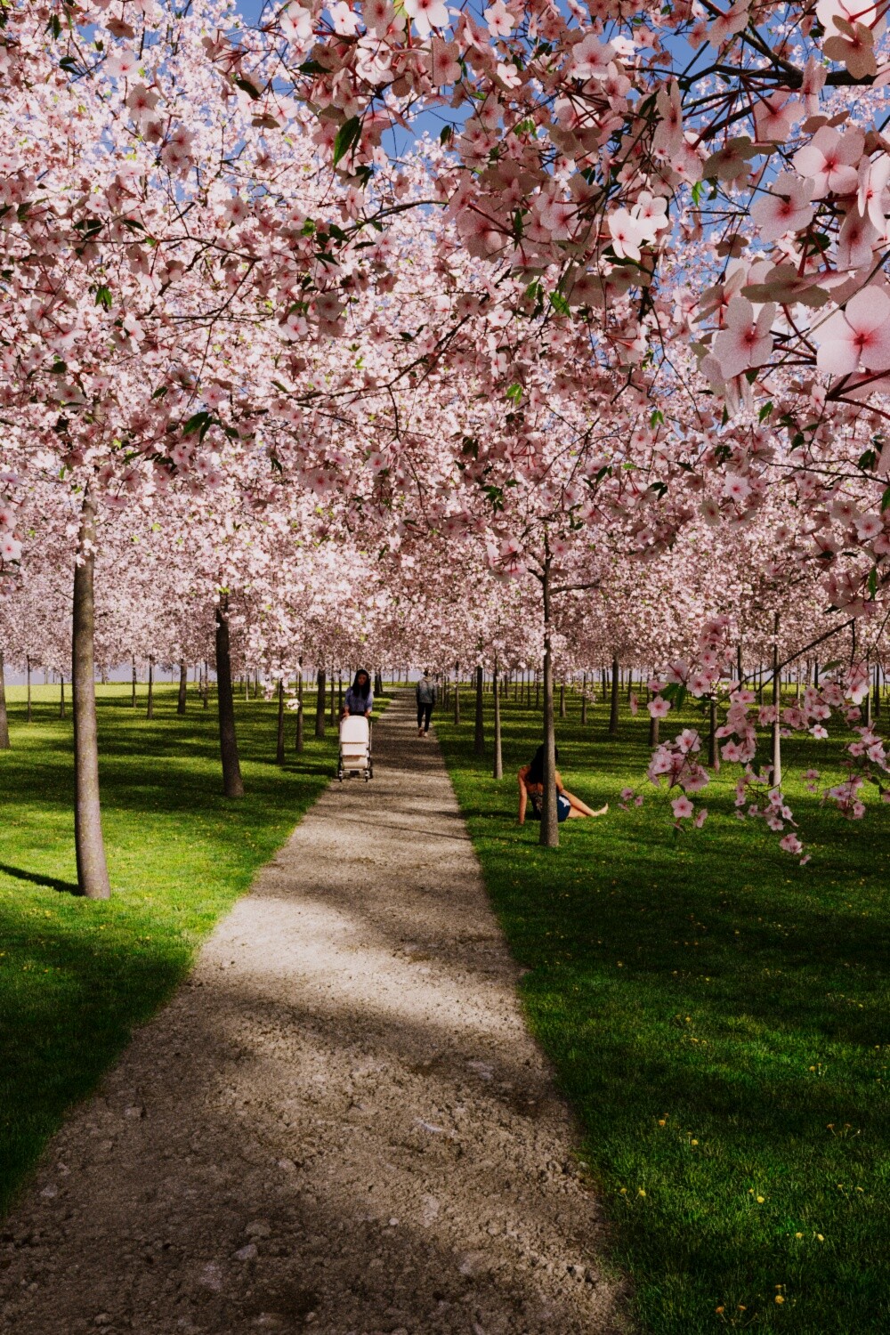 ArtStation - Sakura 3d