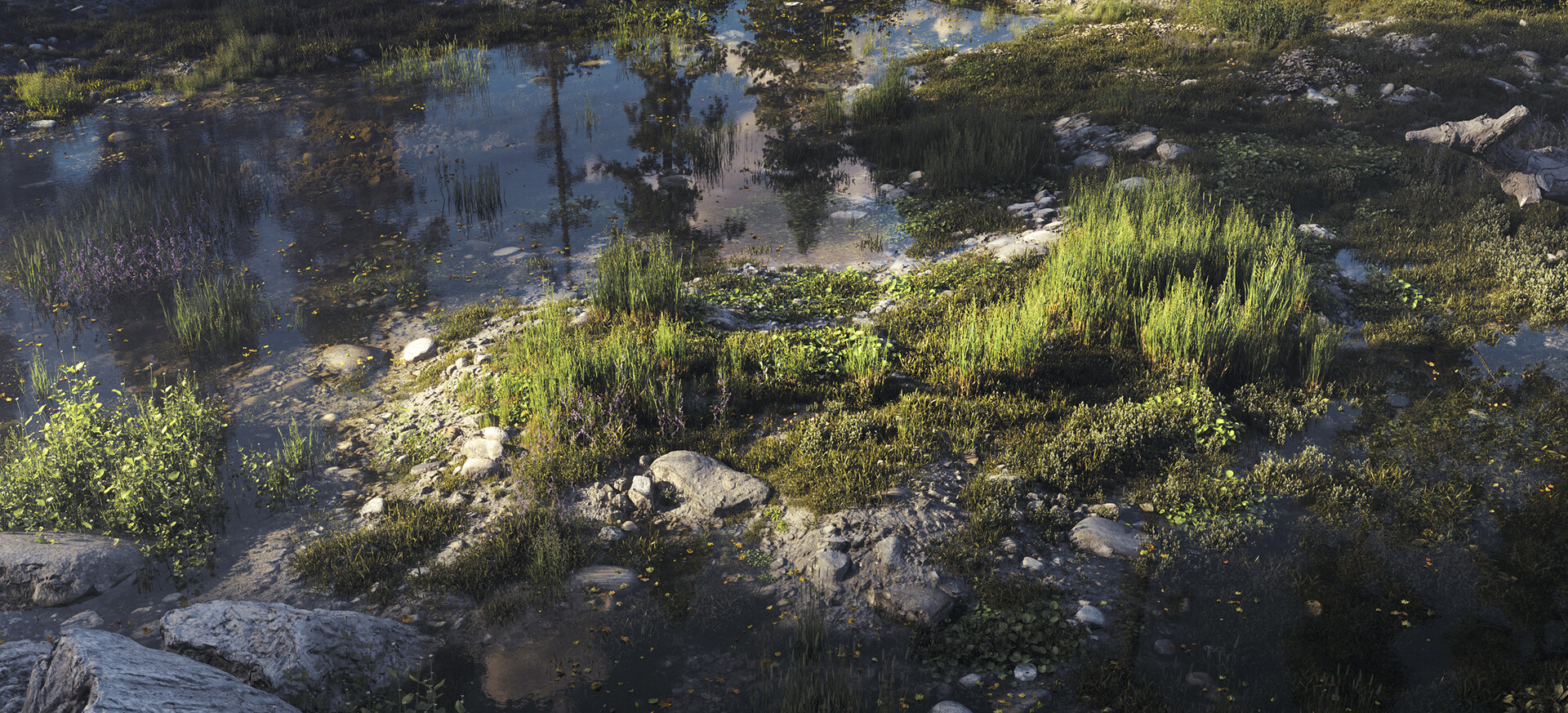 ArtStation - Forest eco setups