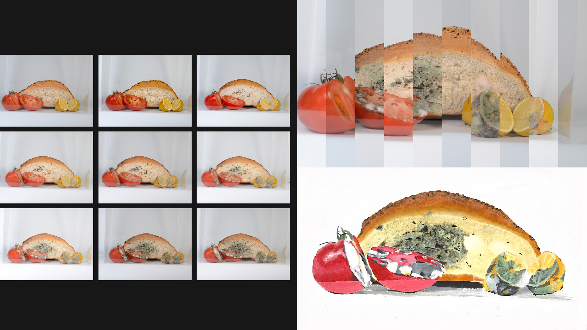 ArtStation - Topic: Time, Still-life photoshoot, combine and acrylic ...