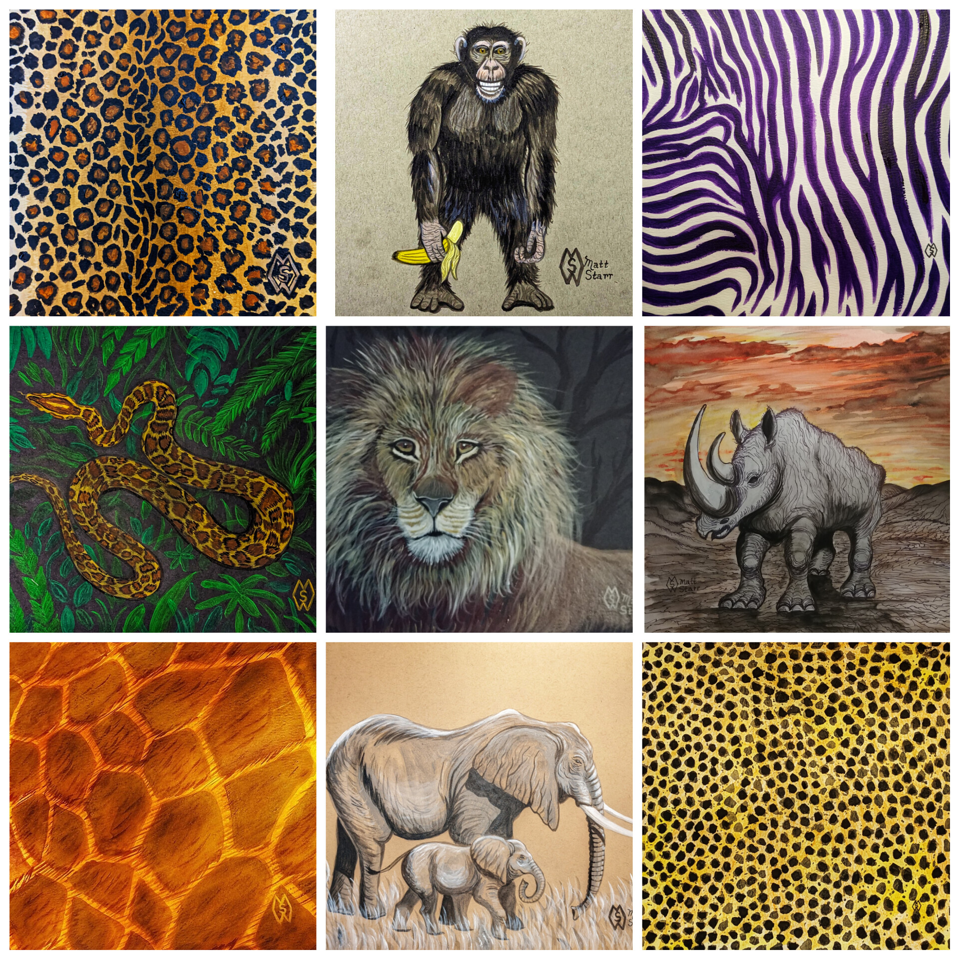 African Animal Skin Patterns