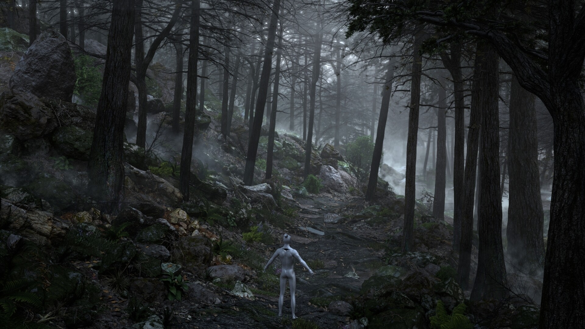 ArtStation - forest