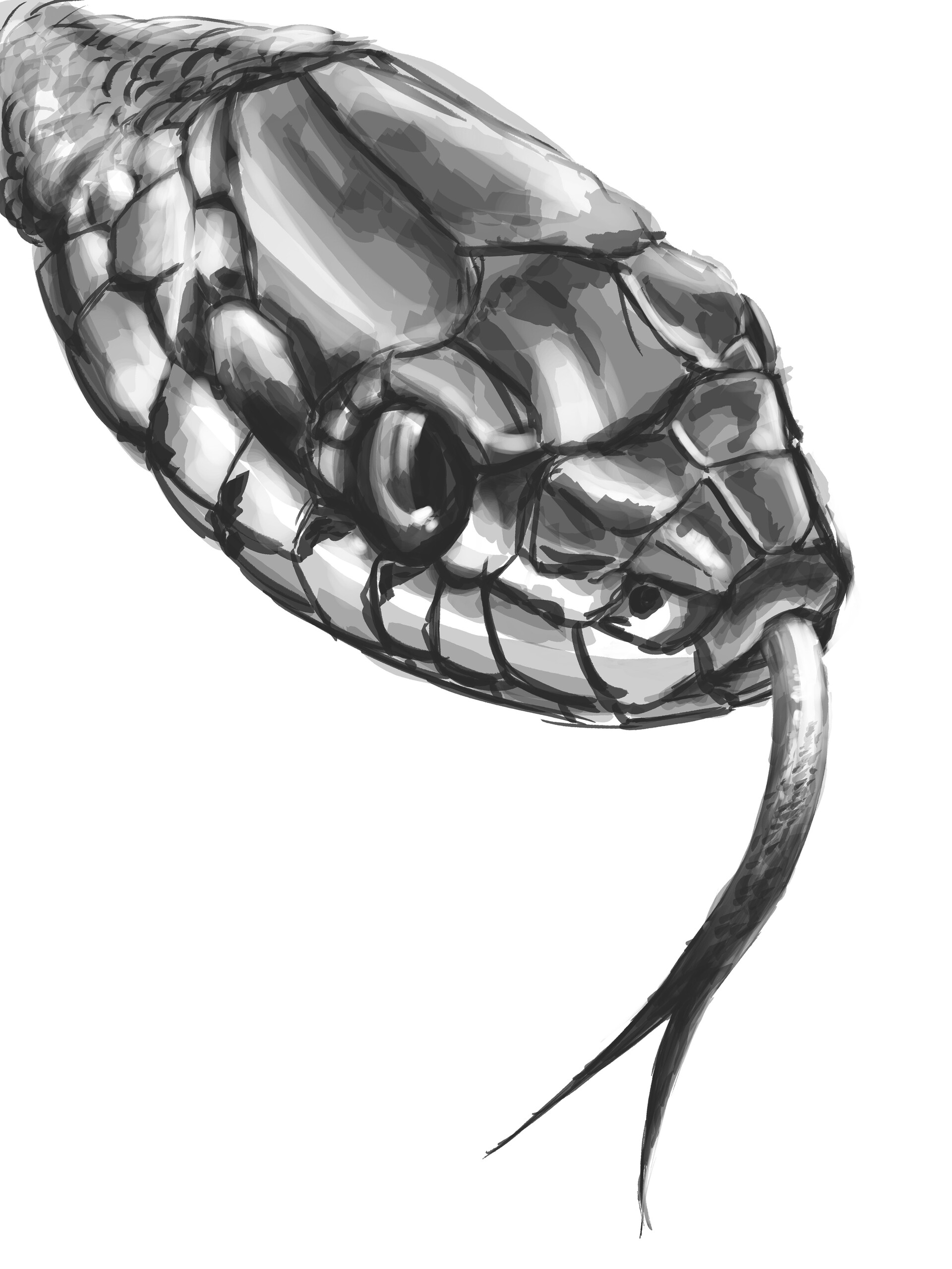 how to draw a snake tongue