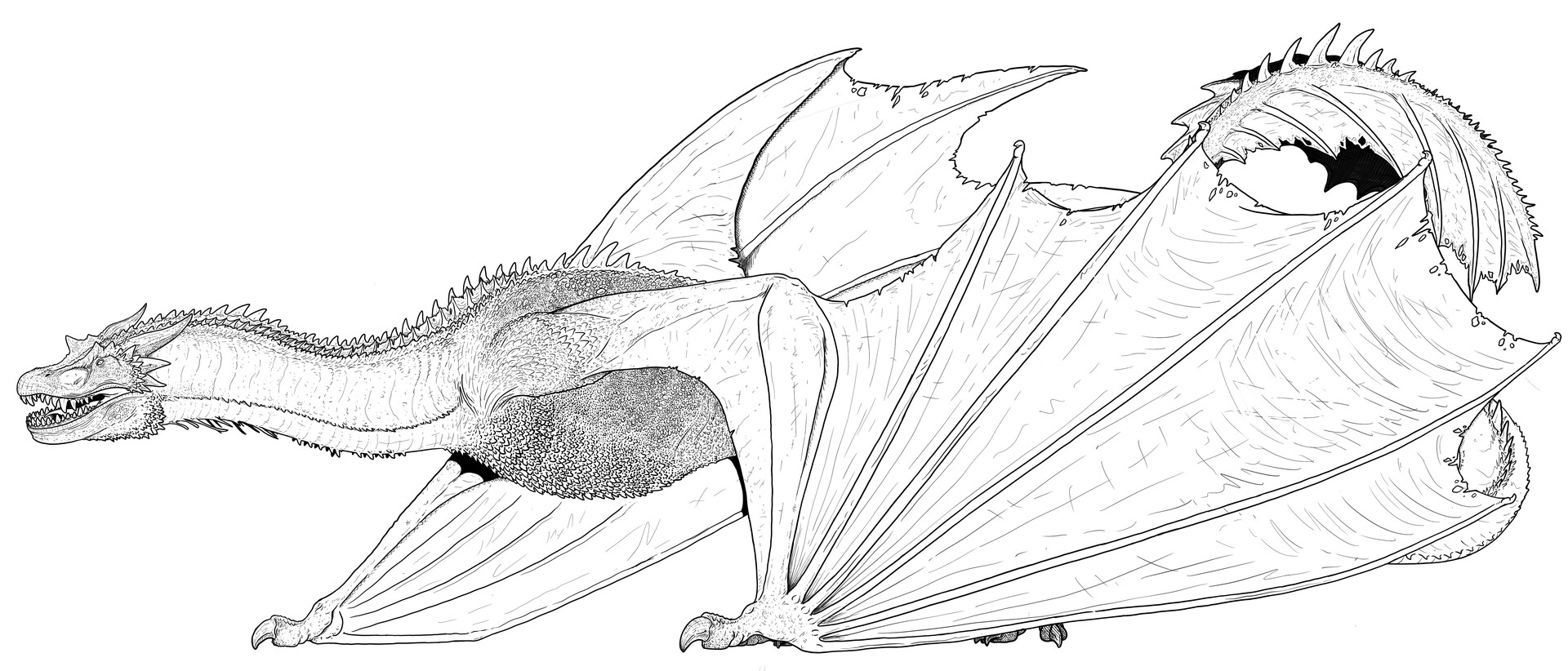 how to draw a dragon oc