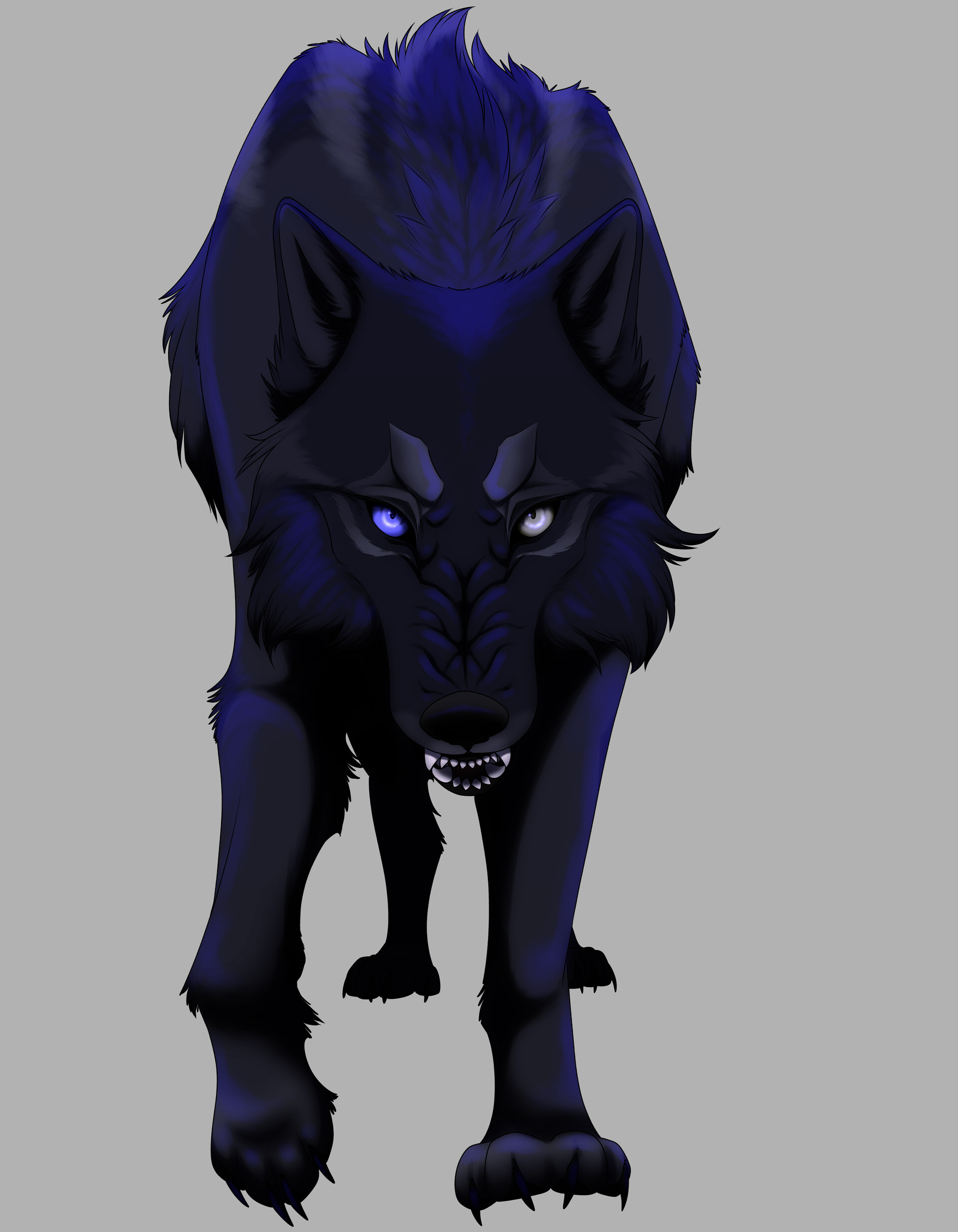 Dark Grey Wolf With Blue Eyes