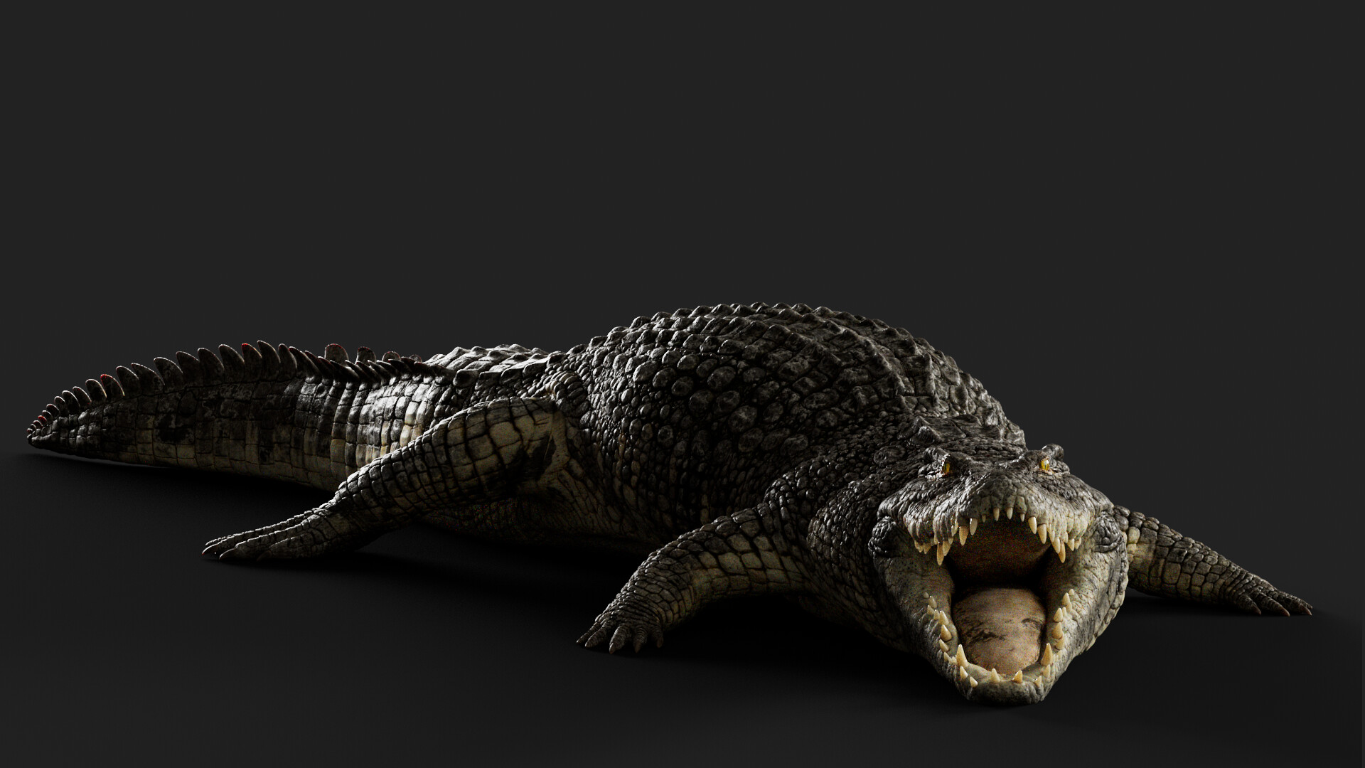 Aritz Basauri - Crocodile